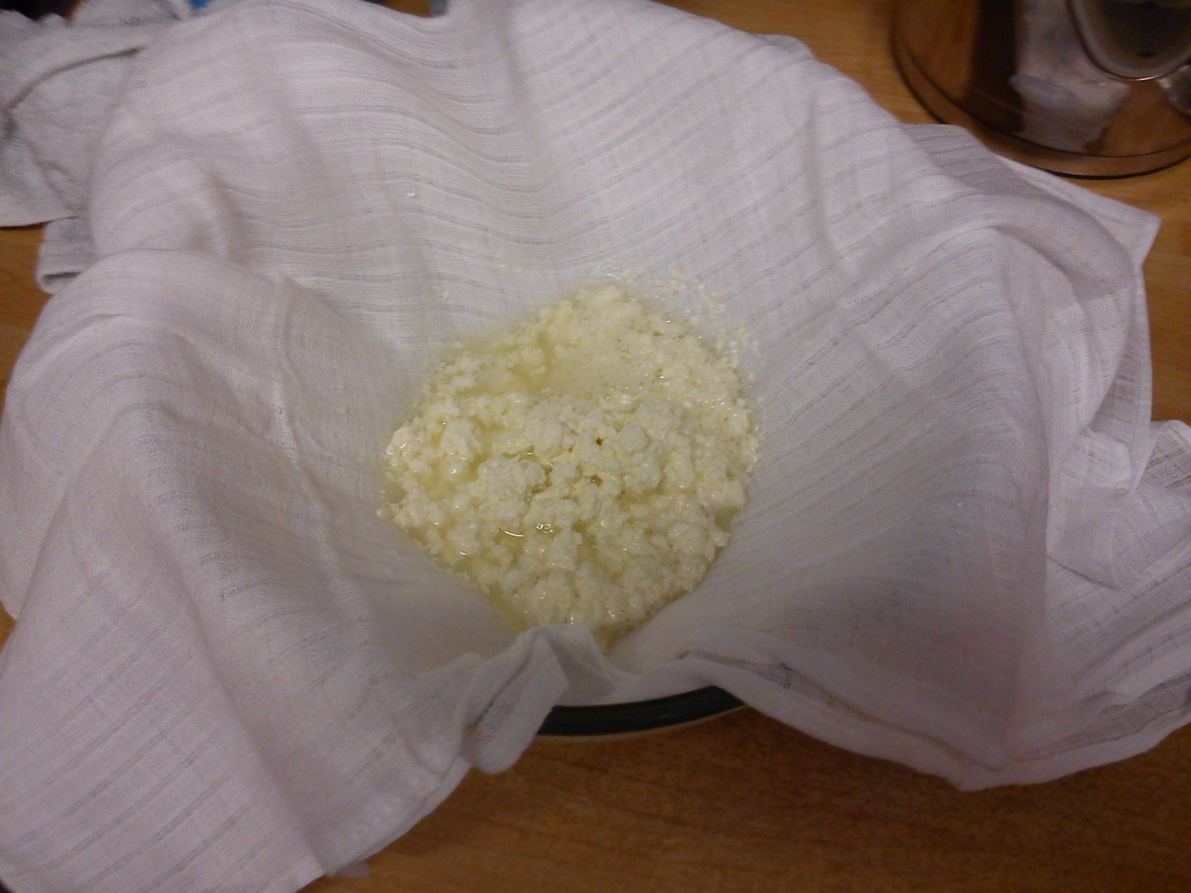 How to Make Great Homemade Mozzarella : 13 Steps (with Pictures ...