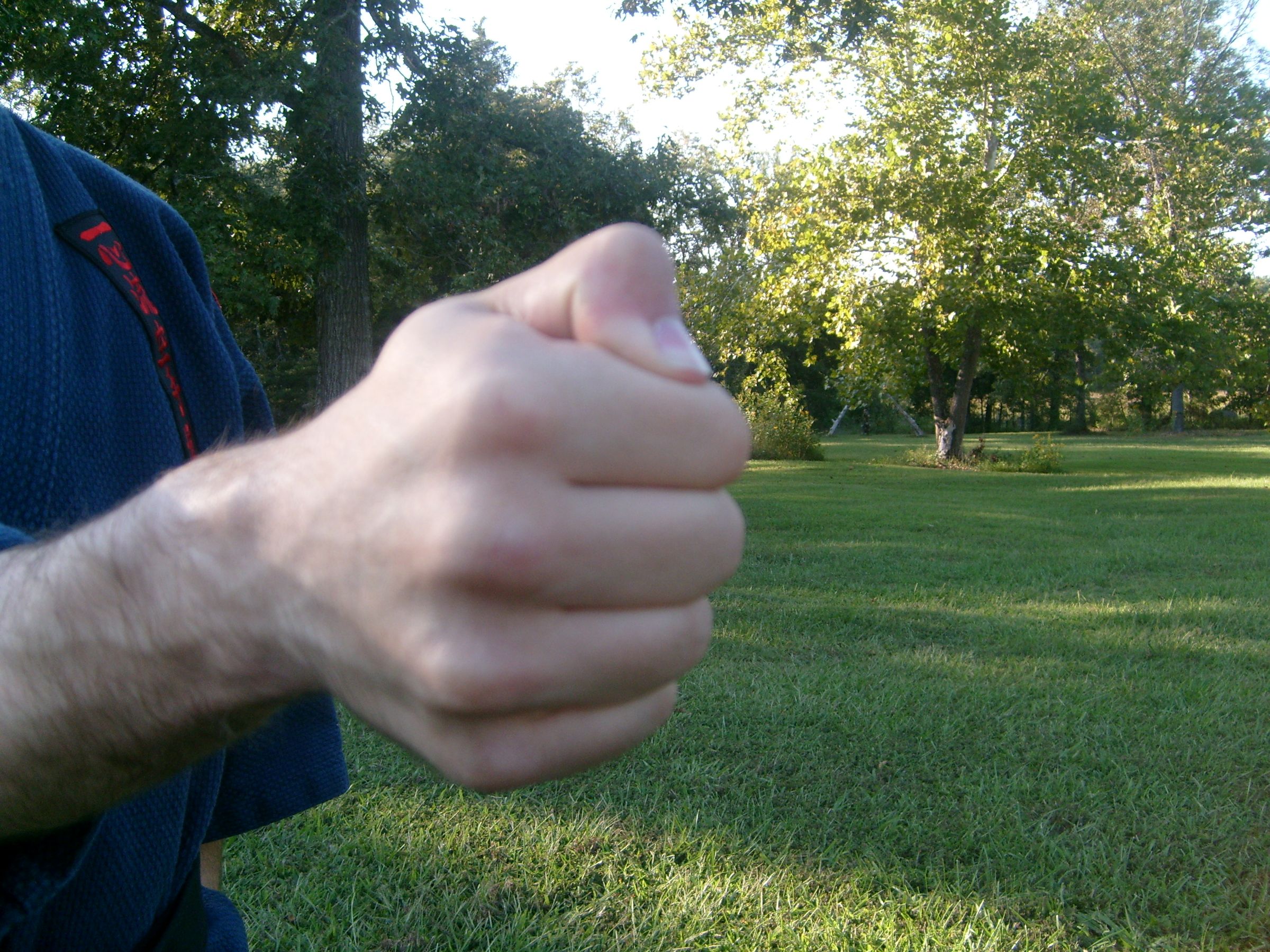 How to Throw a Punch : 6 Steps (with Pictures) - Instructables