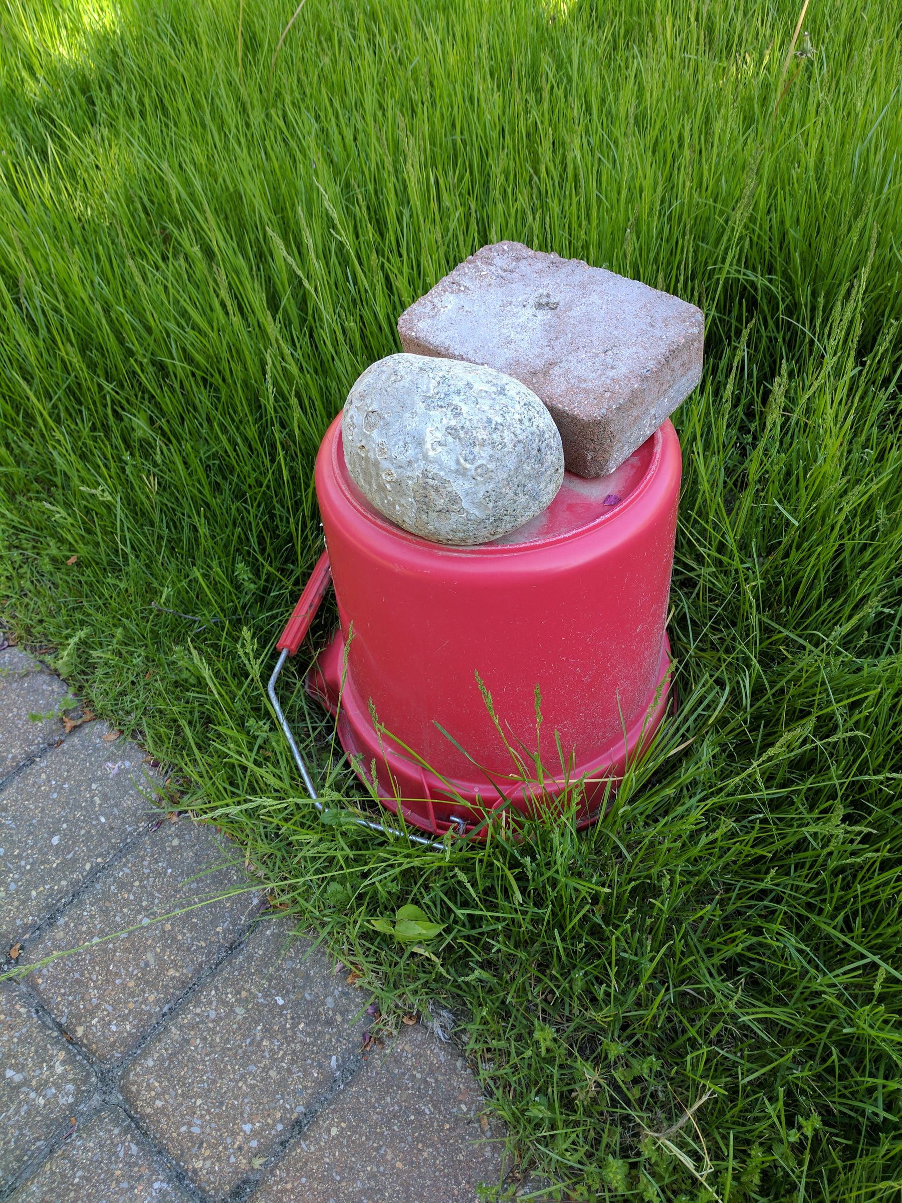 Installing a Bug Proof Cap for a Private Well : 8 Steps (with Pictures ...