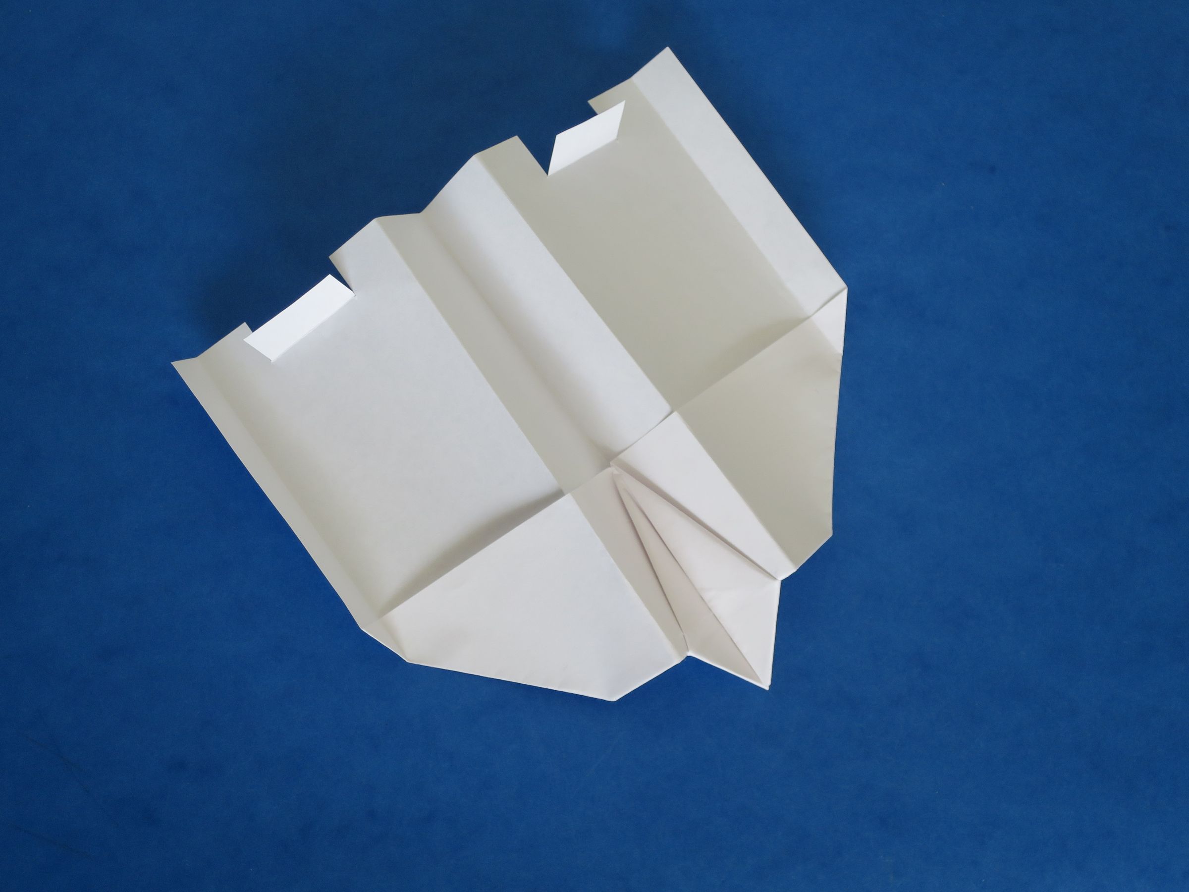 Awesome Paper Plane! : 9 Steps (with Pictures) - Instructables