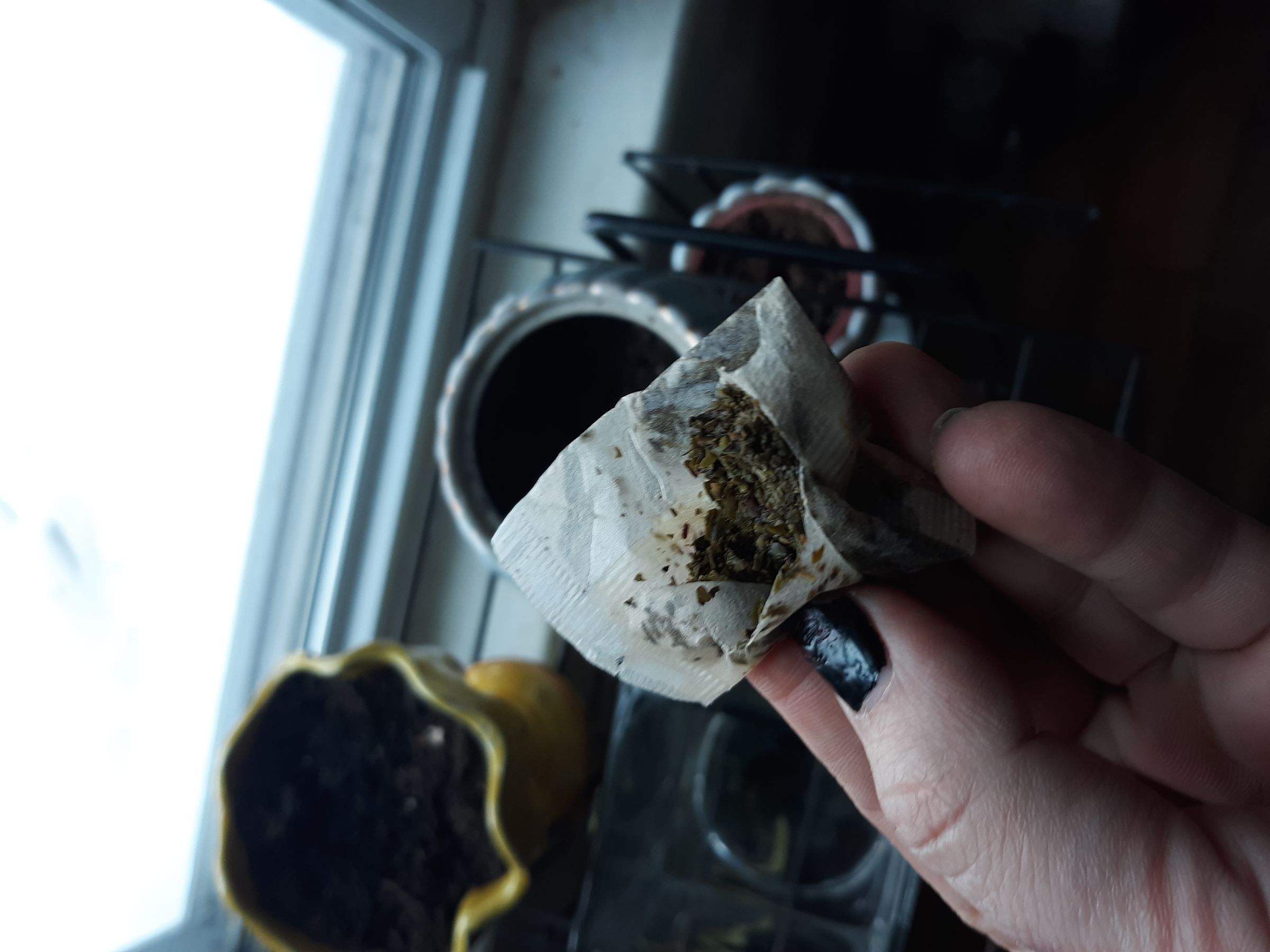 Reusing Tea Bags in the Garden : 3 Steps - Instructables