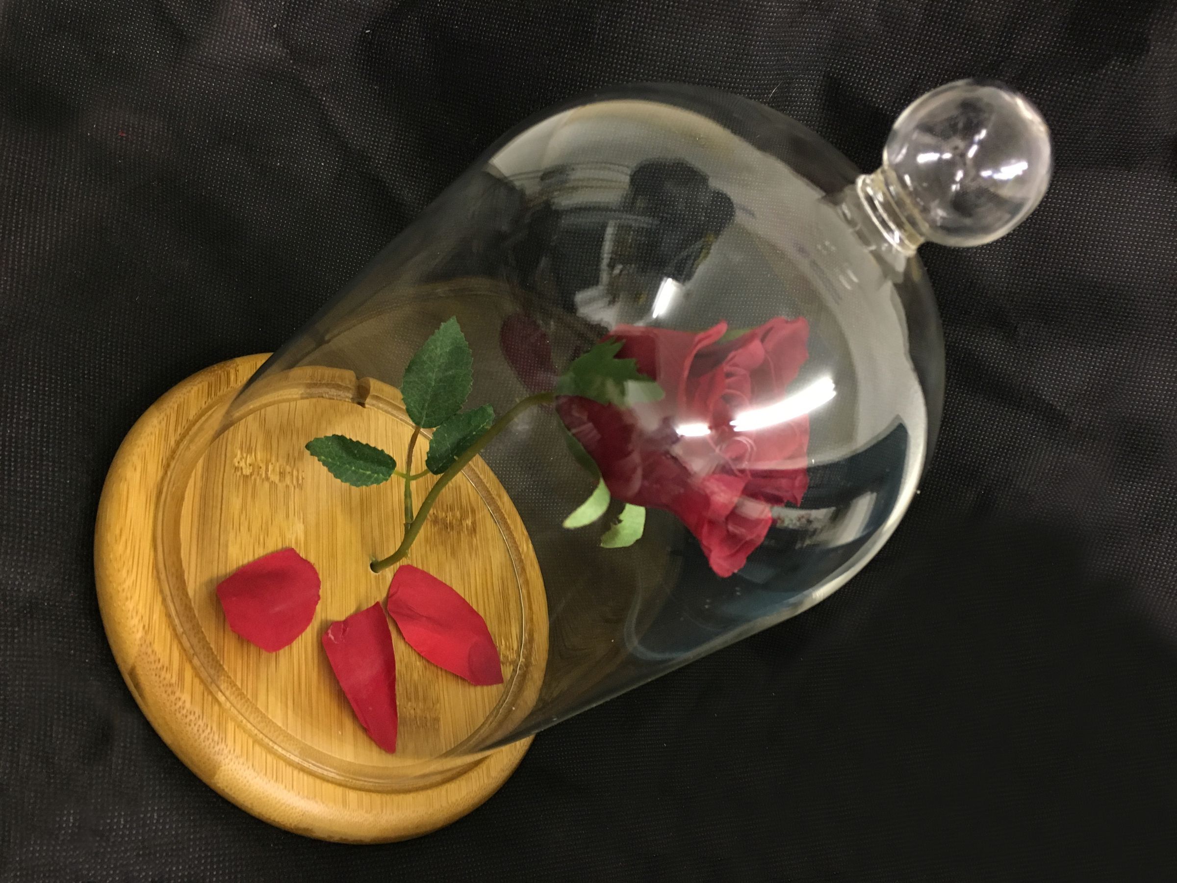 Enchanted Rose - Beauty and the Beast : 6 Steps (with Pictures ...