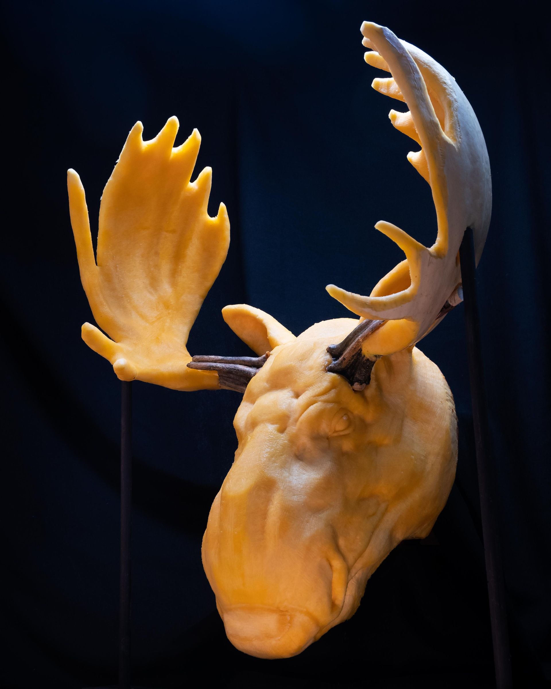3D Moose Pumpkin Carving : 9 Steps (with Pictures) - Instructables