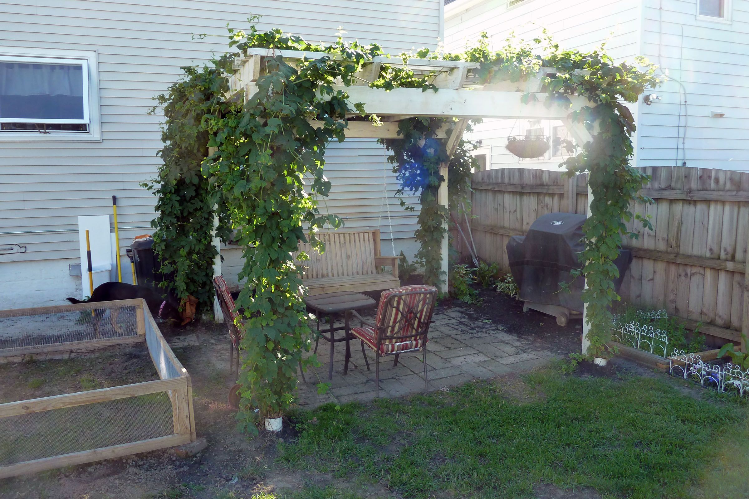 Hop Drying Oast : 6 Steps (with Pictures) - Instructables