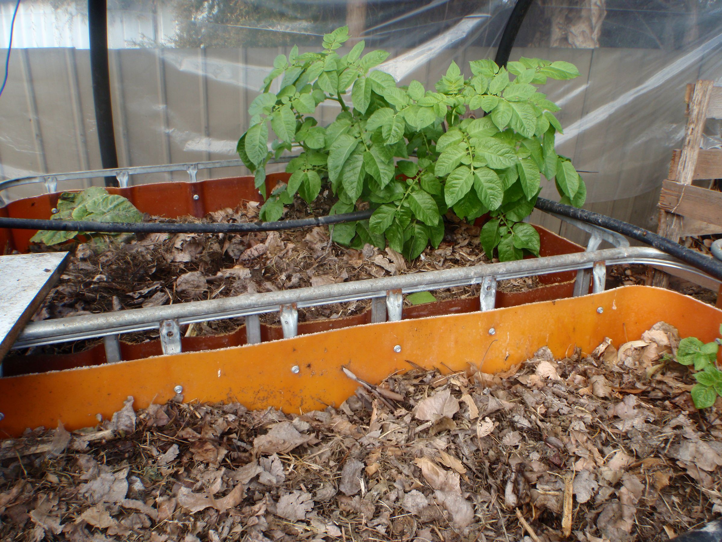 Vermiponic Garden : 12 Steps (with Pictures) - Instructables