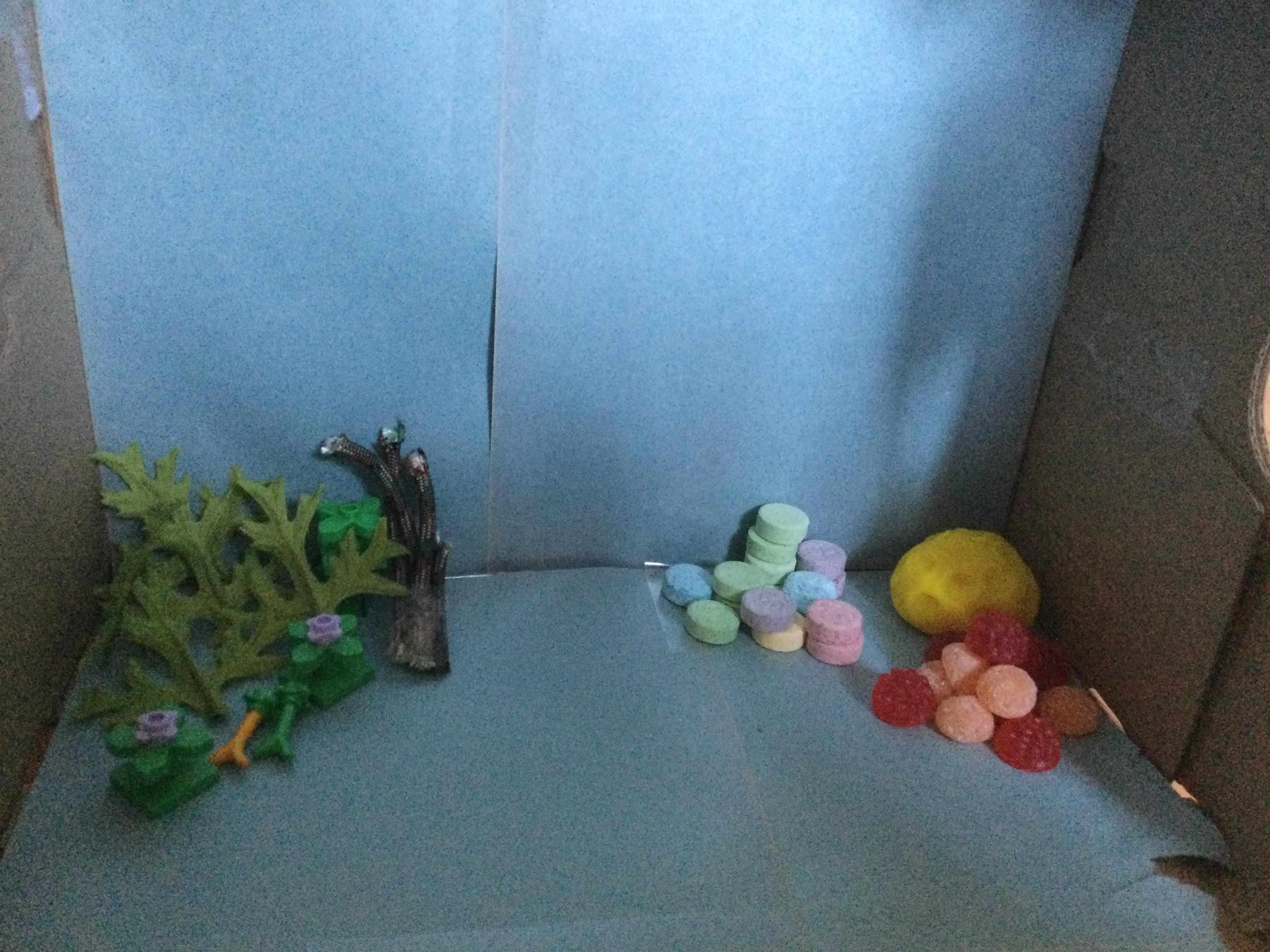 Candy Marine Ecosystem : 6 Steps - Instructables