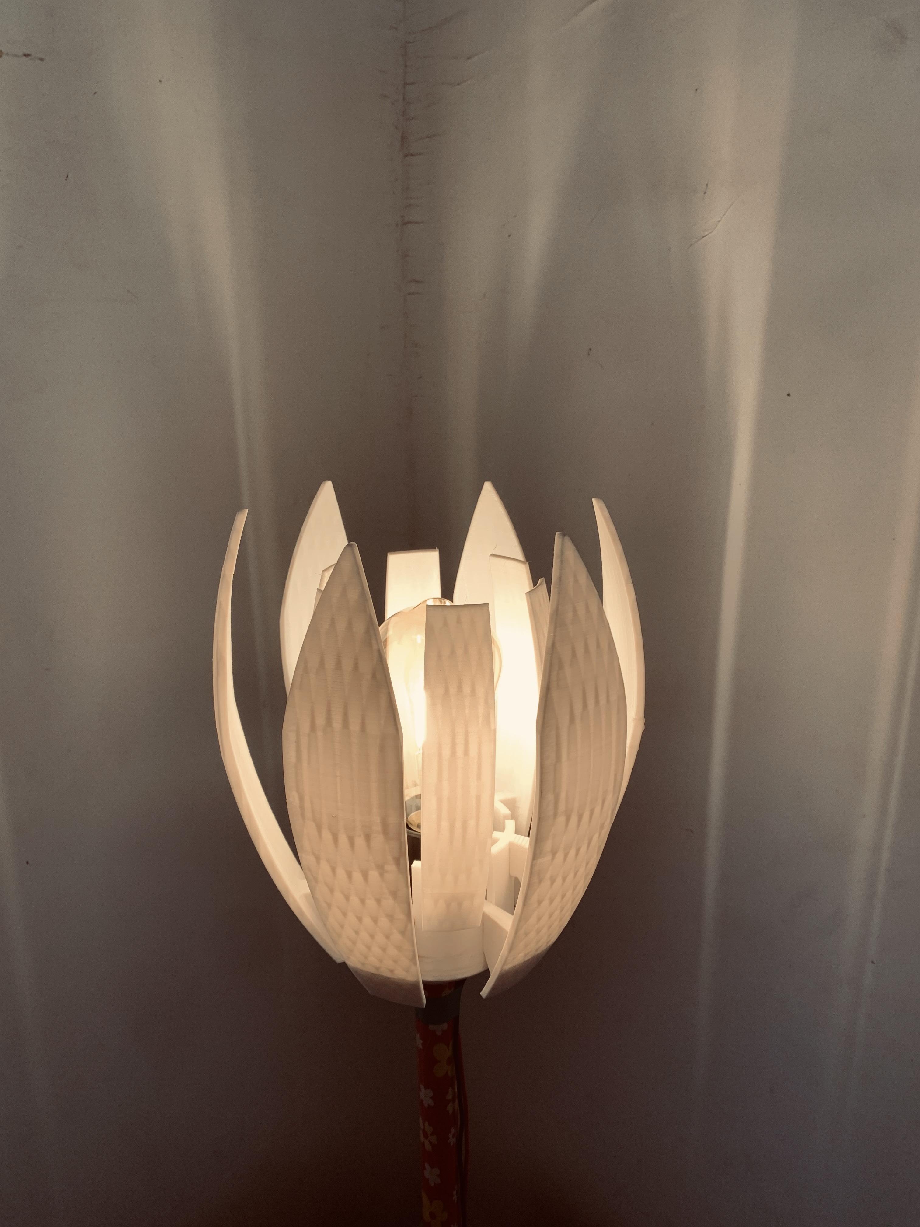 3D Printed Flower Shape Lamp. : 6 Steps (with Pictures) - Instructables