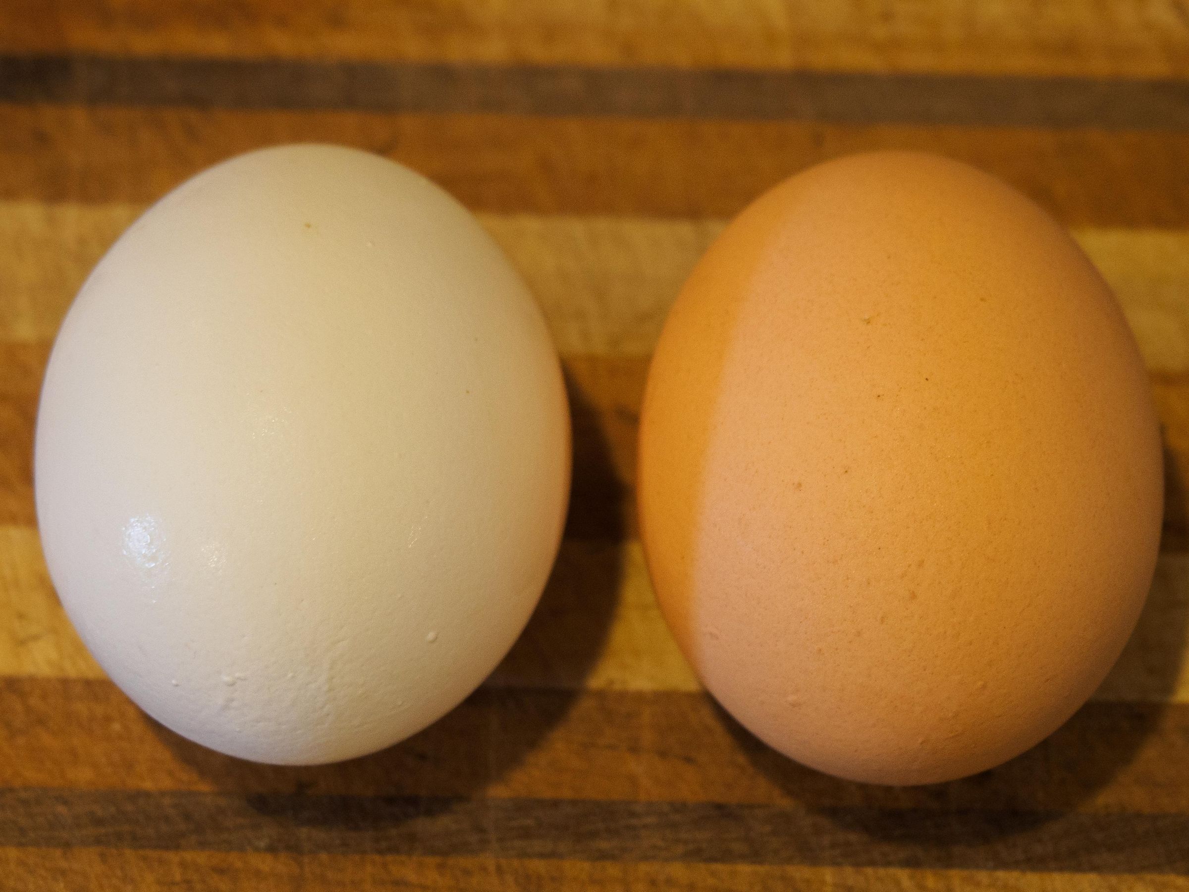 Eggs Up- How to Make and Launch a Rocket Egg : 8 Steps - Instructables