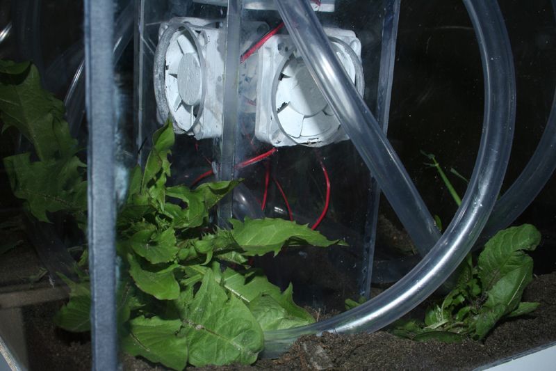 Terrarium for in Space!! : 11 Steps - Instructables