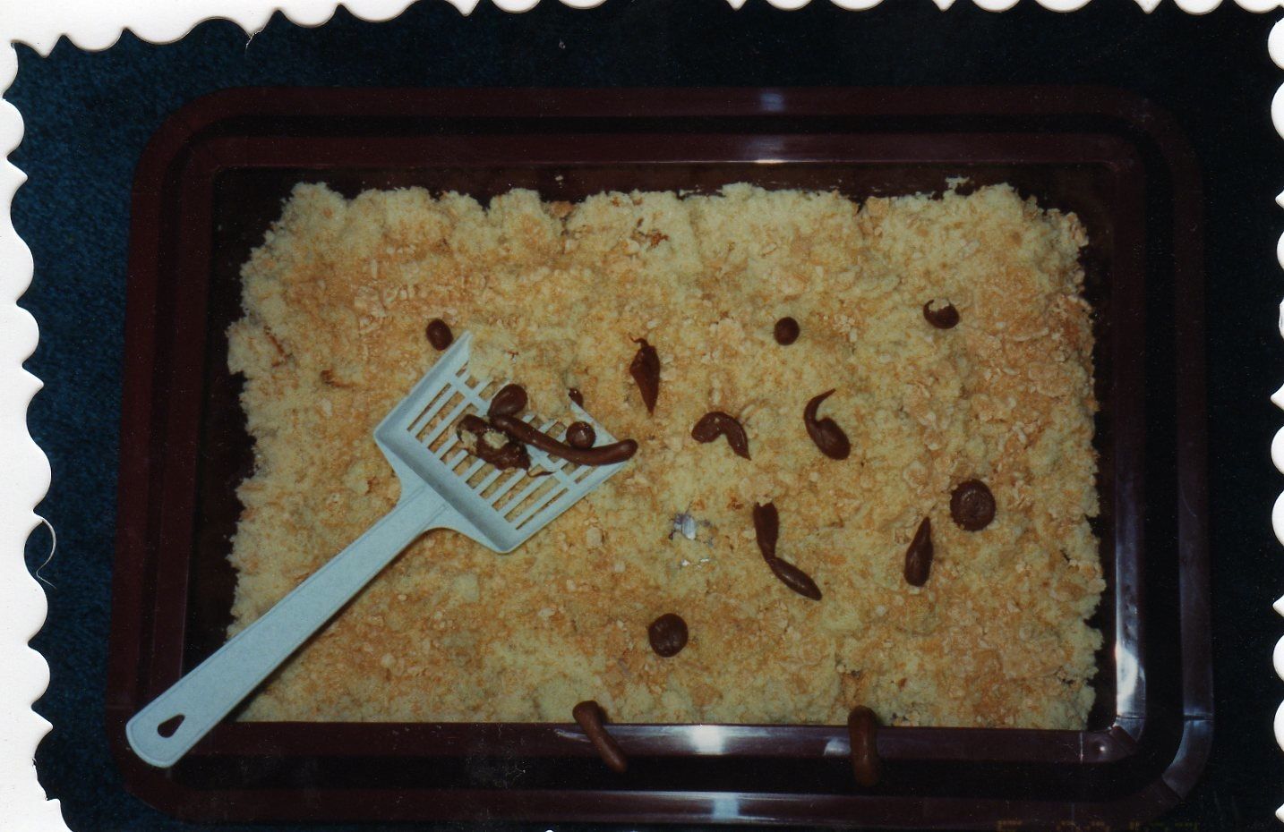 Tootsie Roll Poop Prank - Instructables