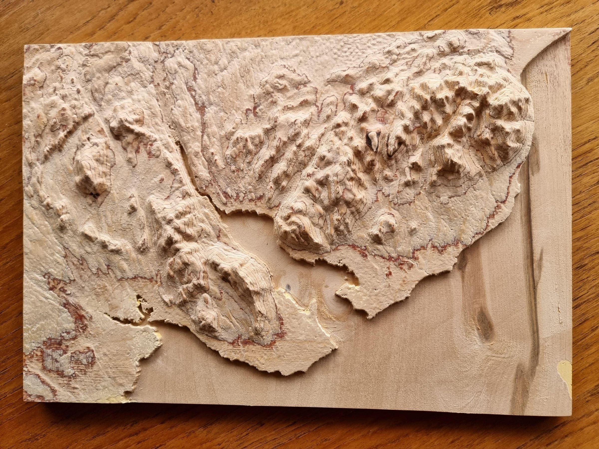 Carving 3D Terrain Topographic Relief Maps on a CNC Machine by Steve M ...