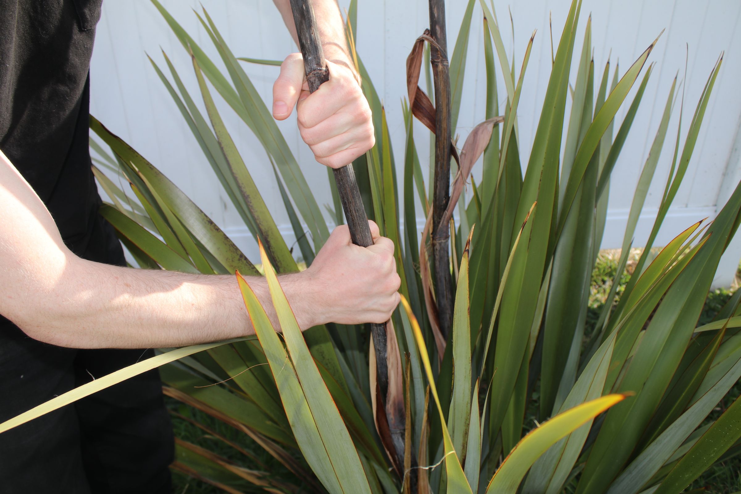 How to Carve a Flax Boat : 10 Steps (with Pictures) - Instructables
