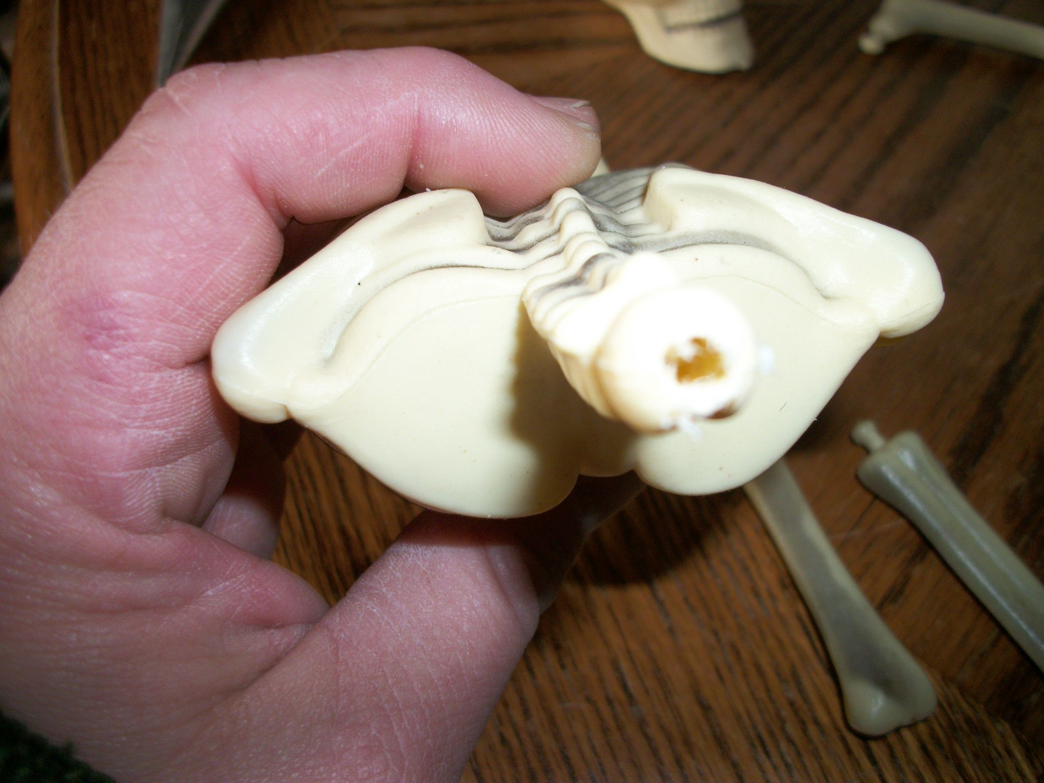 Posable Skelly : 5 Steps (with Pictures) - Instructables