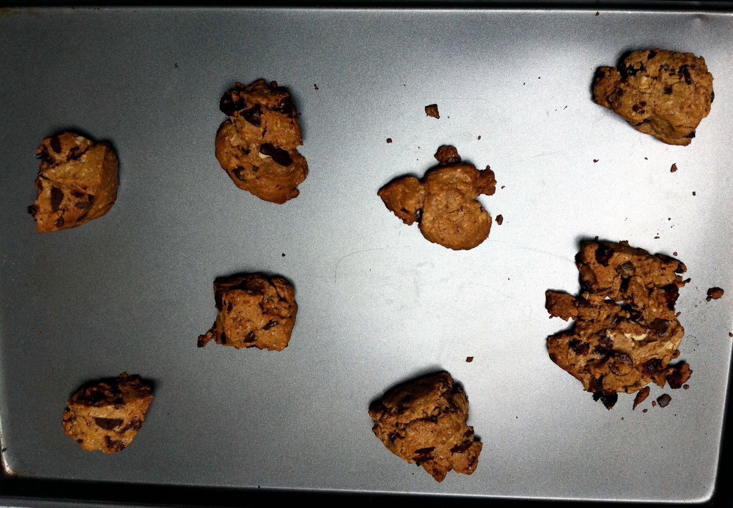 Four-Year Cookie Experiment (with Pictures) - Instructables