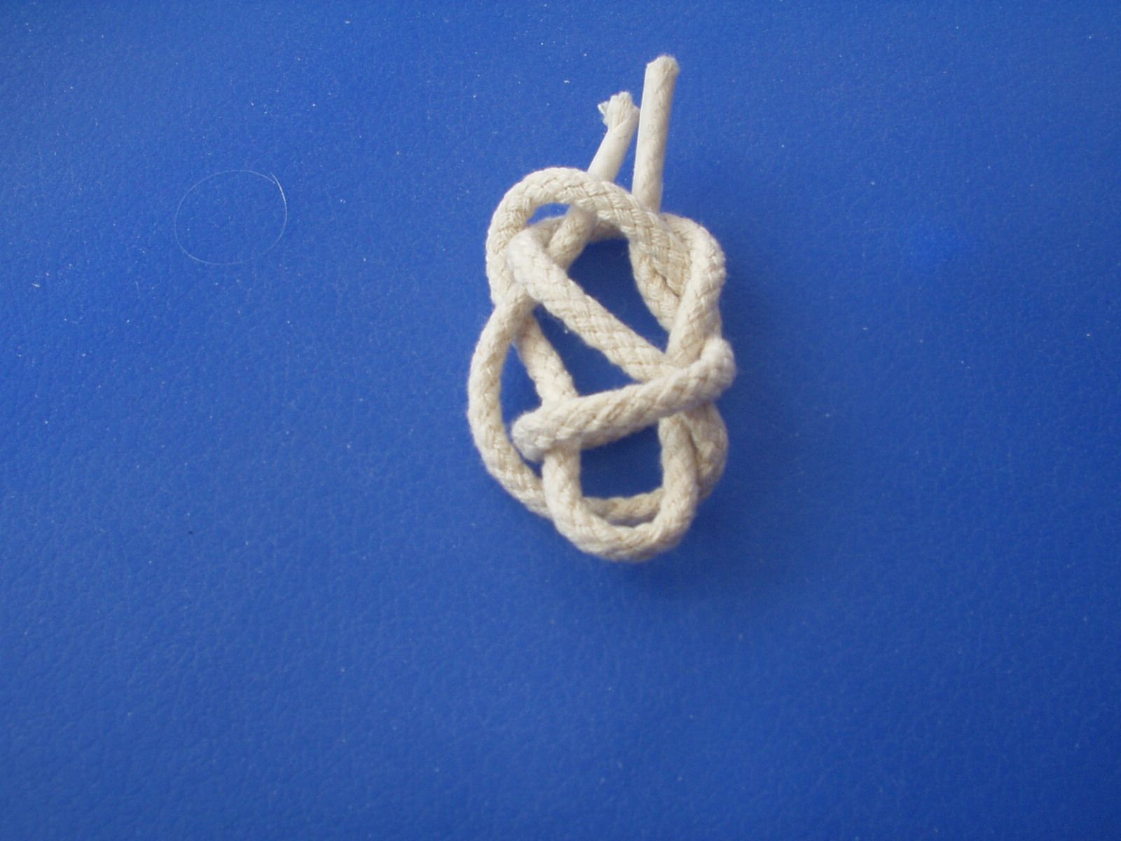 Two Strand Lanyard Knot (ABOK 784) : 10 Steps - Instructables