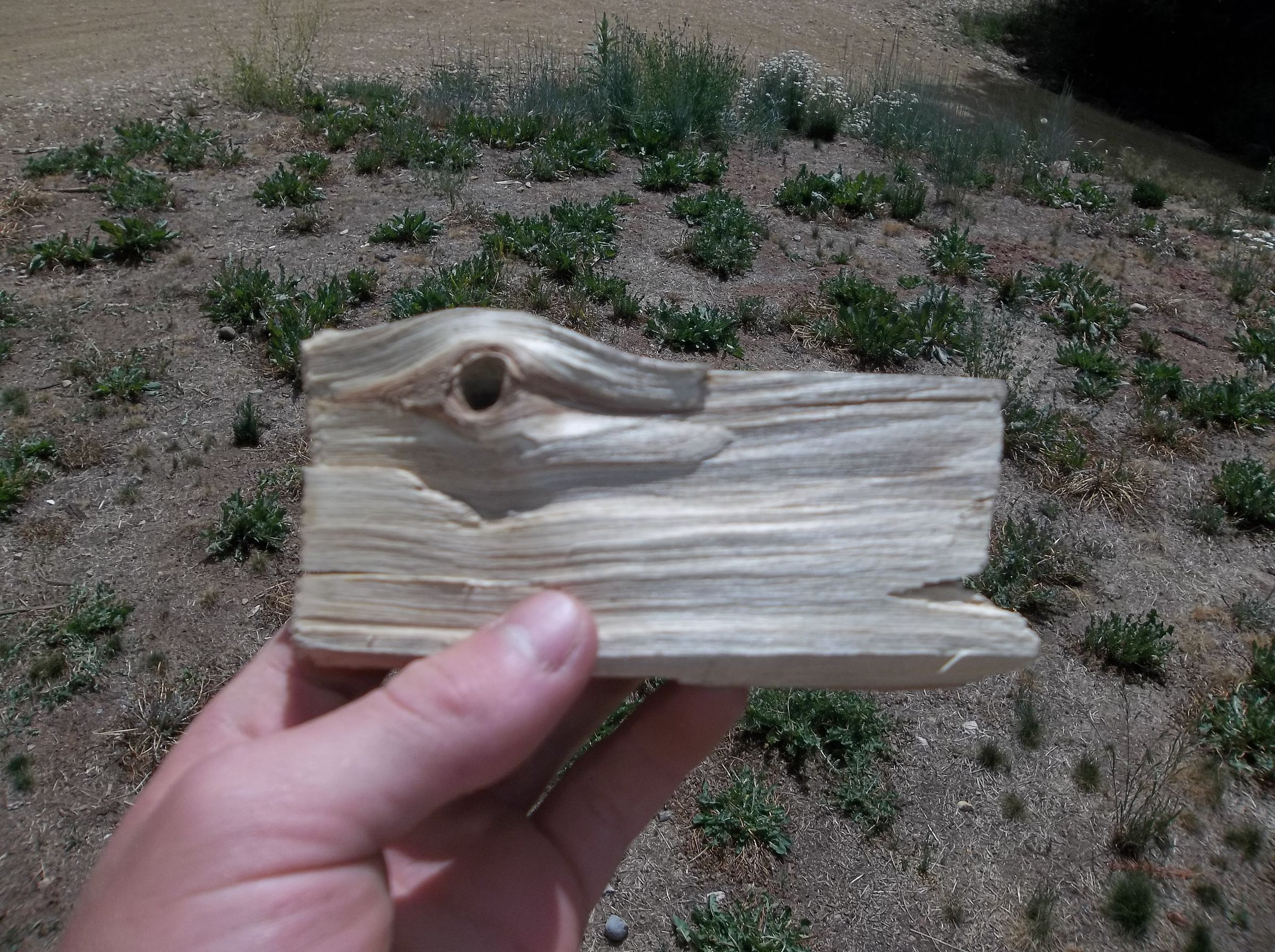 Primitive Fire Starting: the Bow Drill : 9 Steps (with Pictures) - Instructables