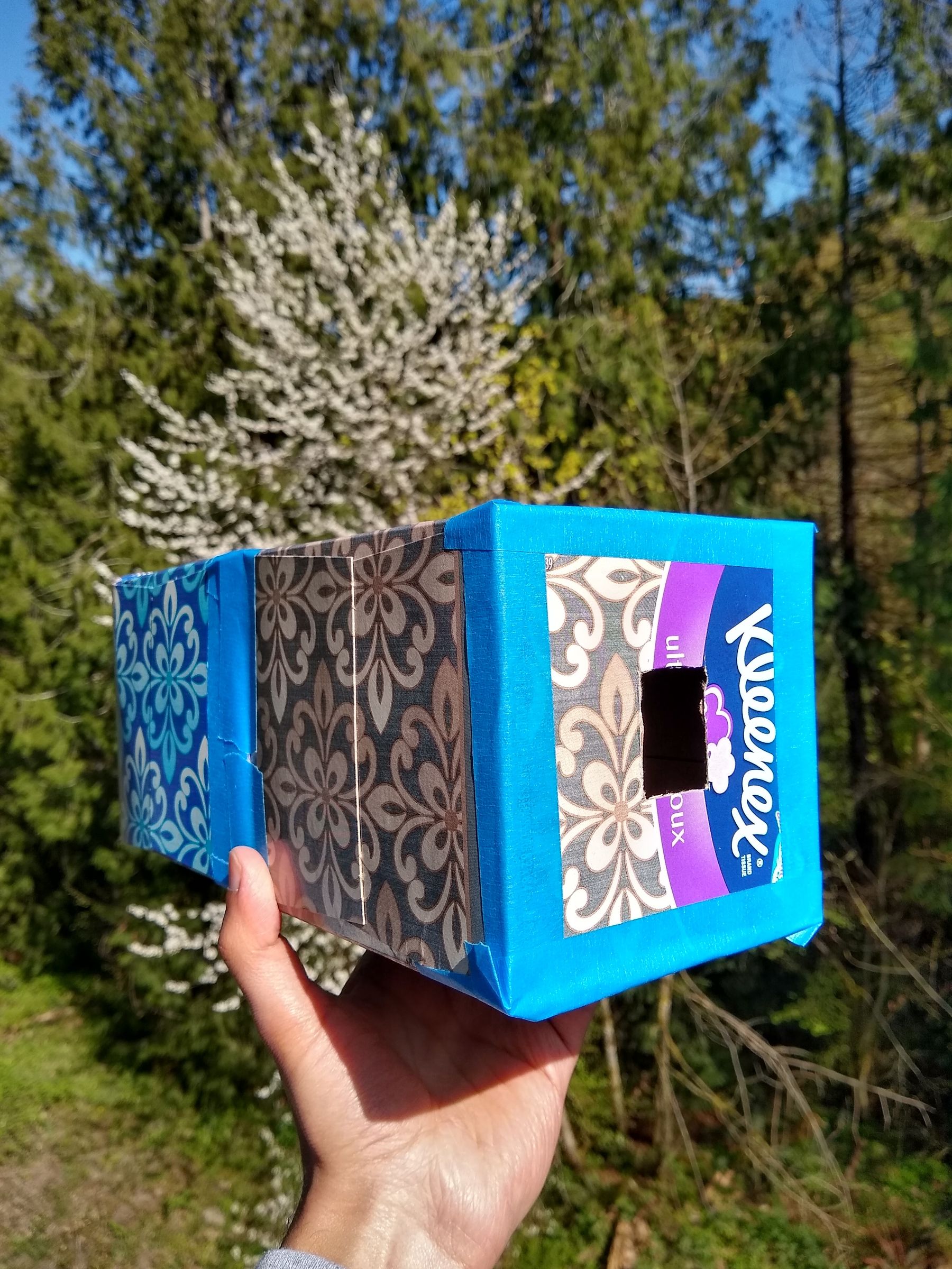 Tissue Box Camera Obscura : 7 Steps (with Pictures) - Instructables