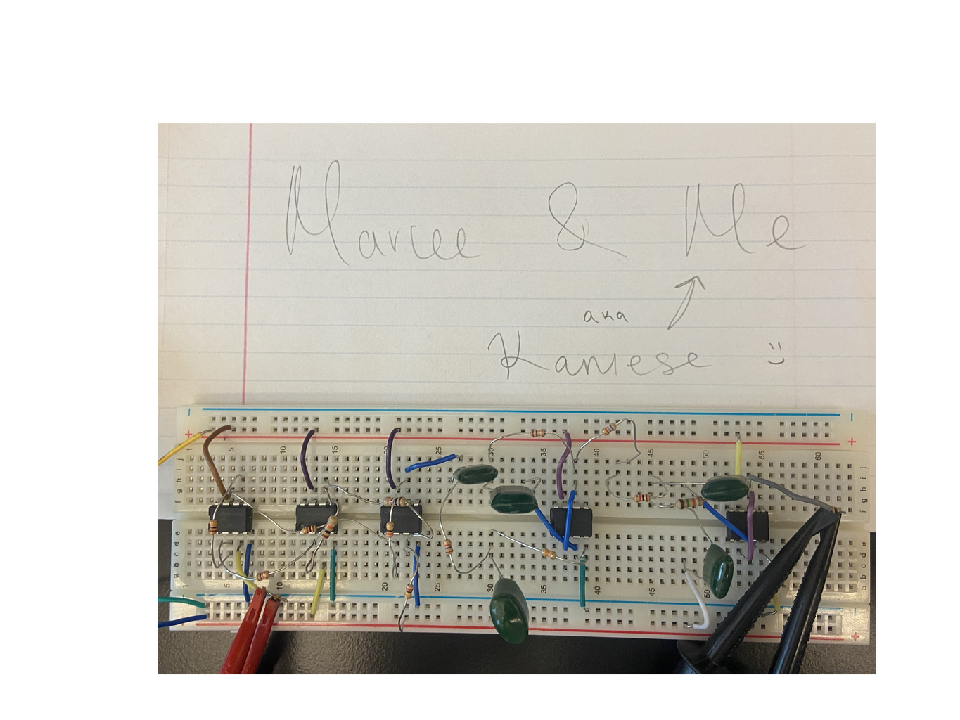 Design A Functional Ecg With Automated Plotting Of The Biosignal 6 Steps Instructables