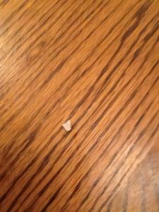 How to Make a Spitball With a Pen : 5 Steps - Instructables