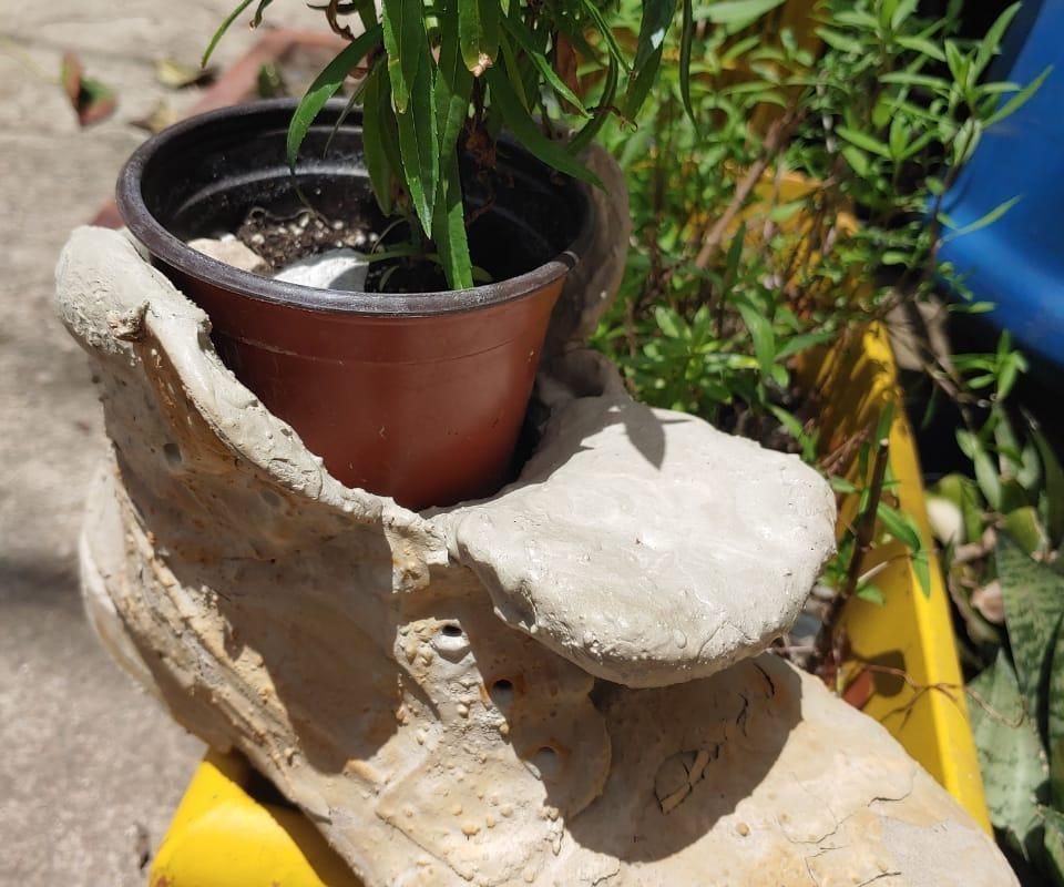 Old Boots Planters : 4 Steps - Instructables