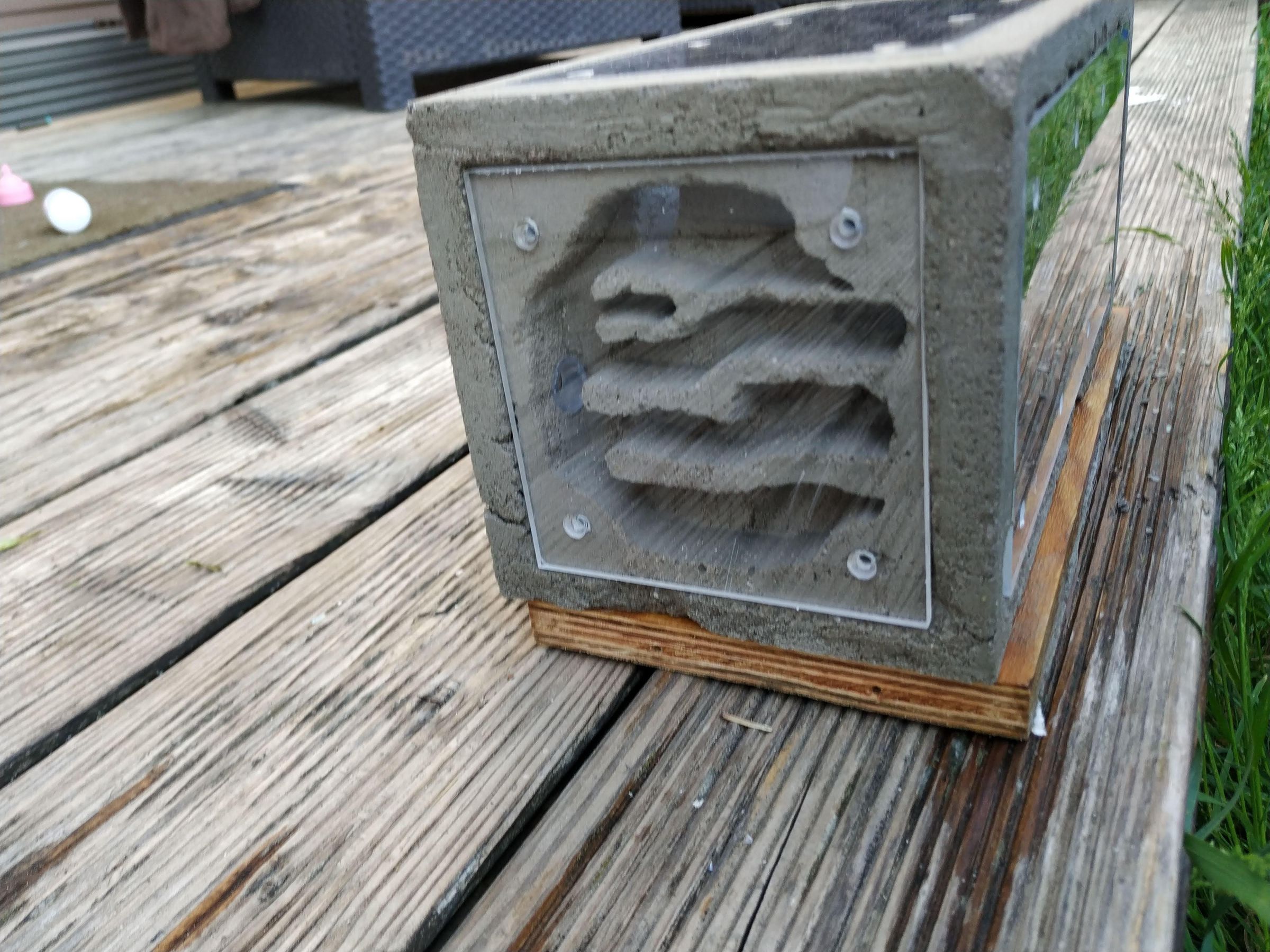 Concrete Ants Nest : 4 Steps (with Pictures) - Instructables