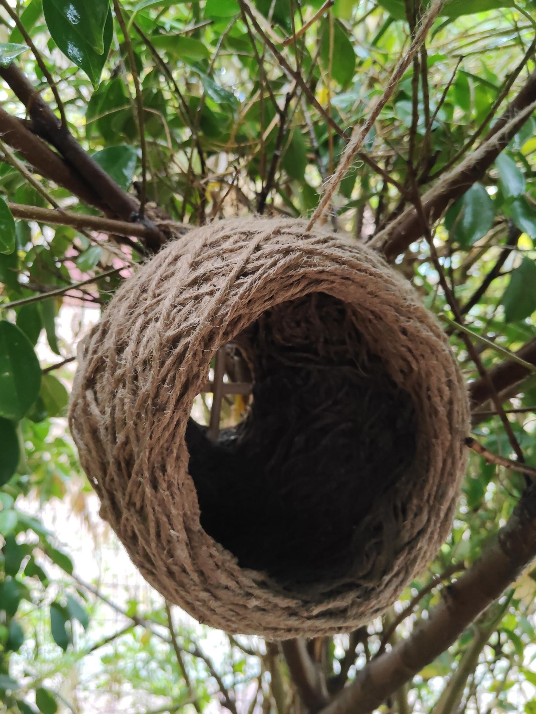 Bird's Nest From Jute Thread: Perfect Home for Our Little Buddies : 9 ...