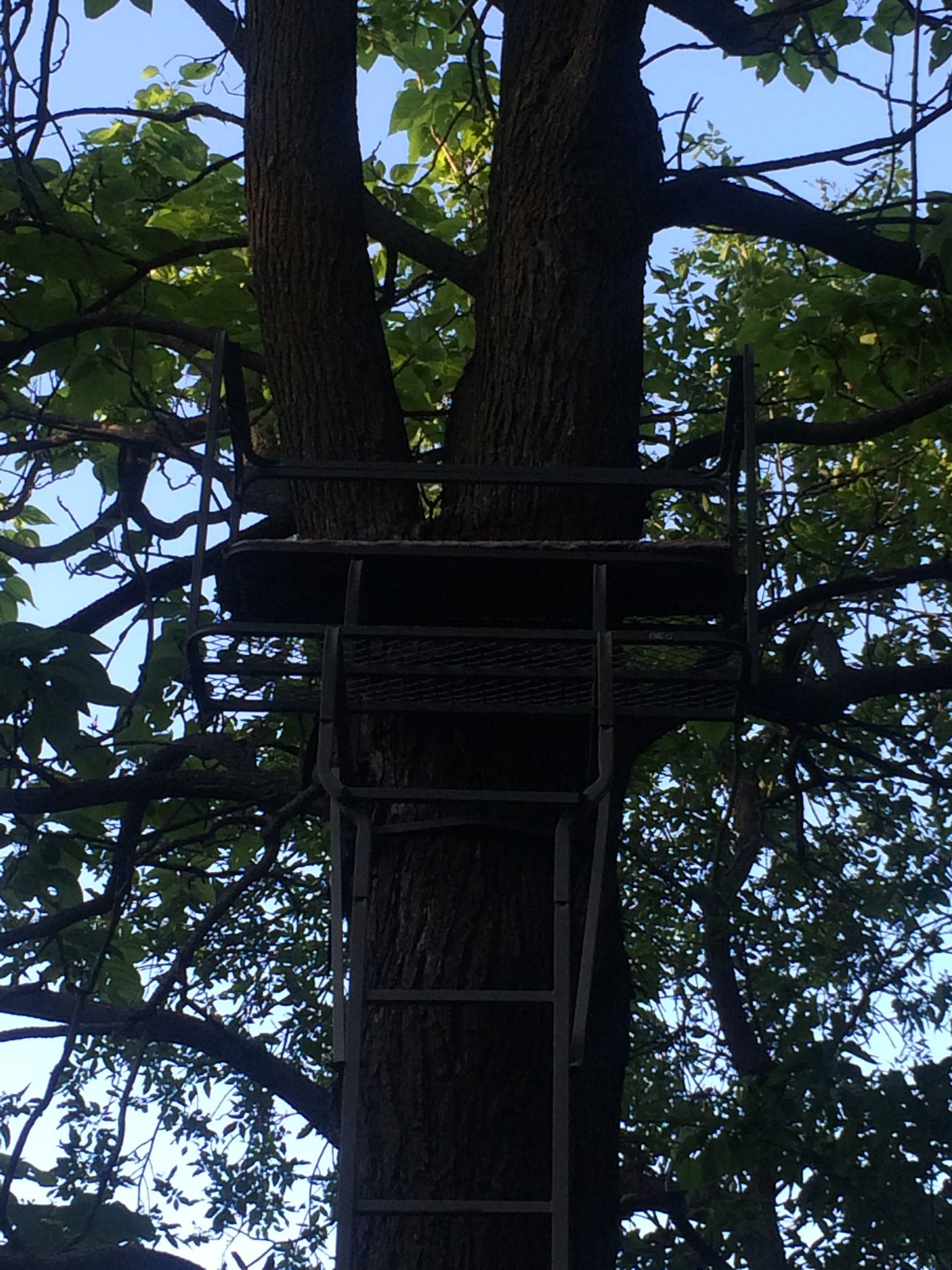 Building the Perfect Tree Stand : 5 Steps - Instructables