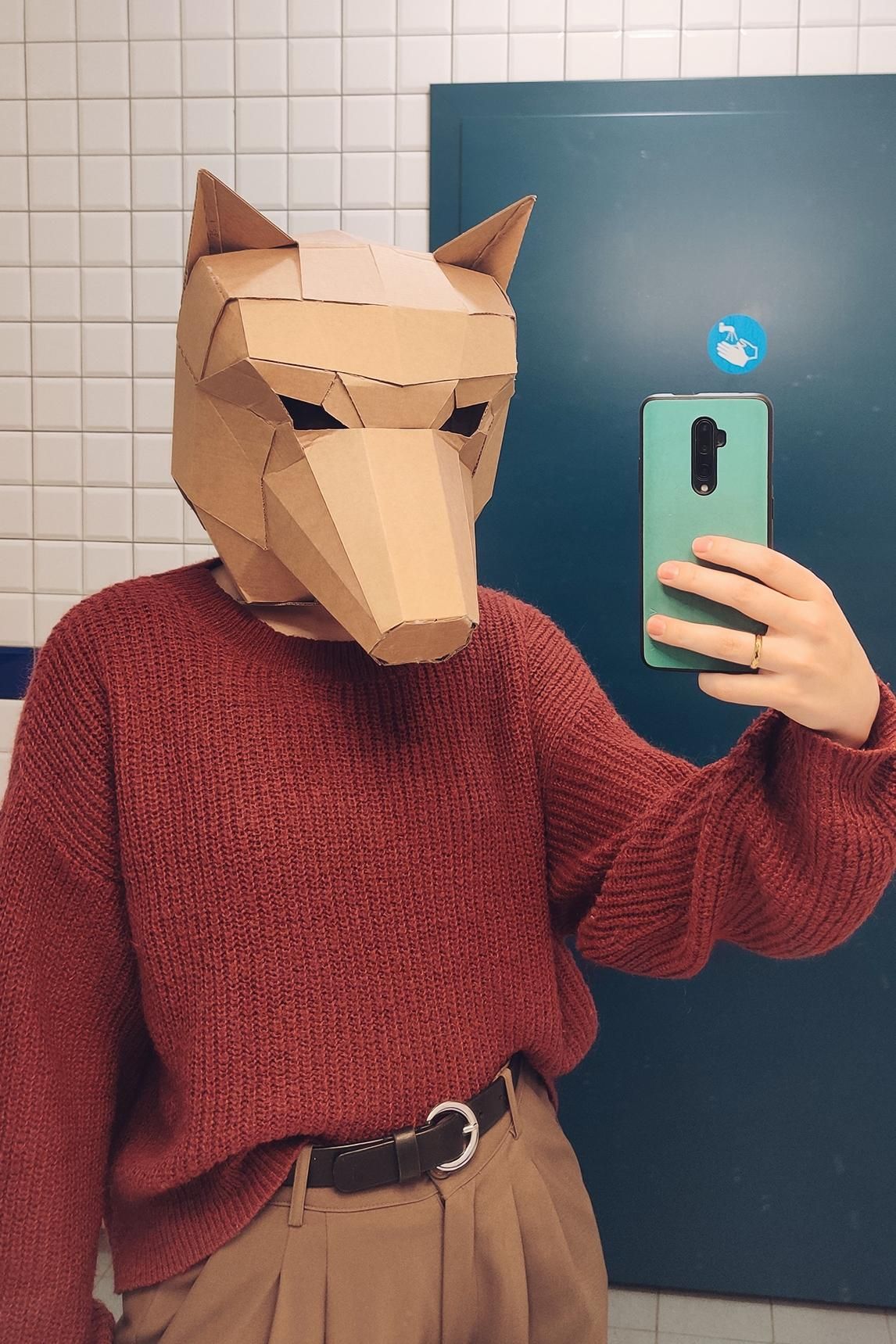 Papercraft Low Poly Wolf Mask : 6 Steps (with Pictures) - Instructables
