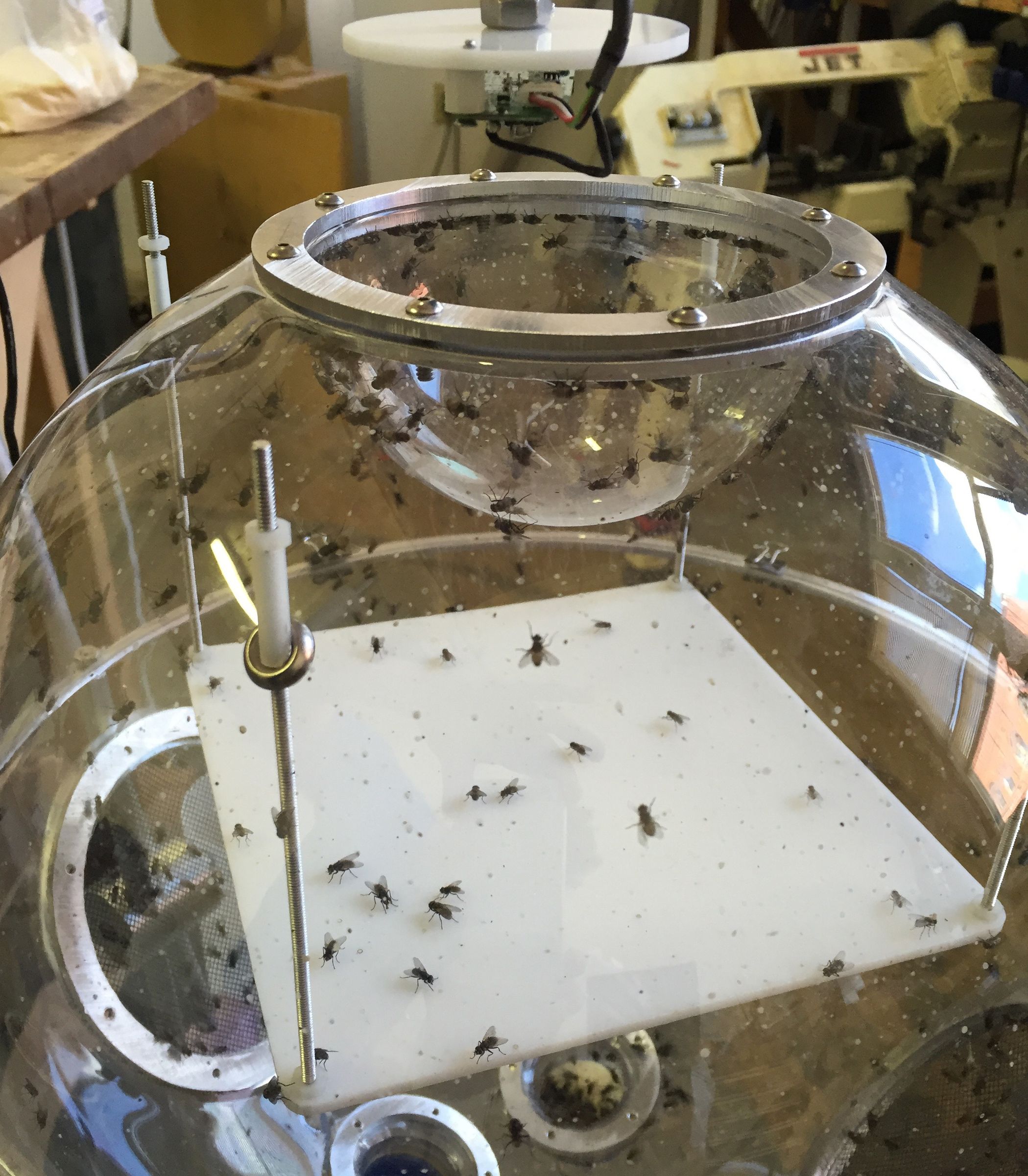 Fly Carving Device : 16 Steps (with Pictures) - Instructables