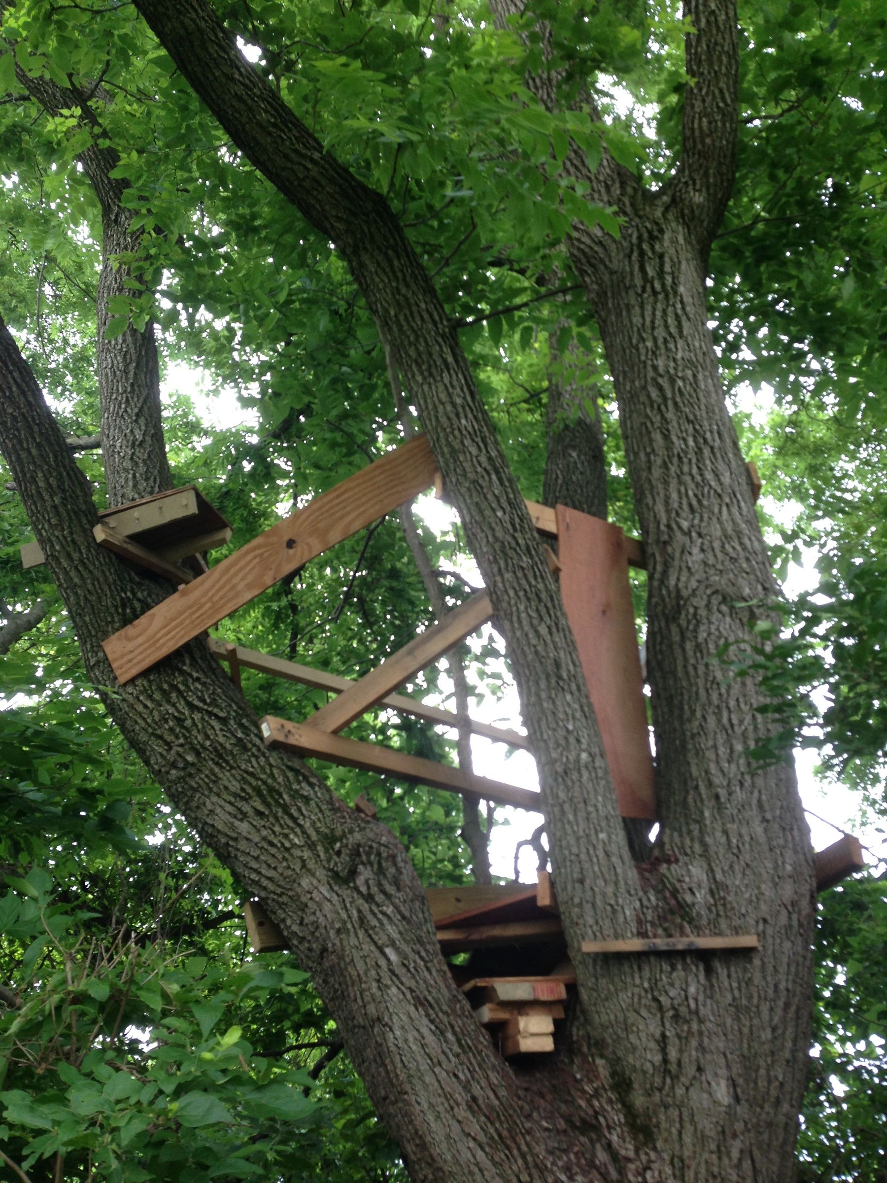 DIY Treehouse : 9 Steps - Instructables