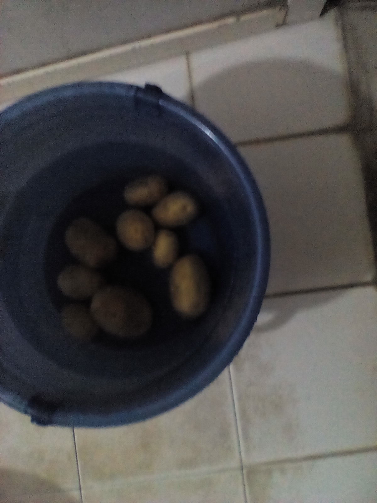 Peeling Large Scale Potatoes Within 5minutes Really : 5 Steps ...