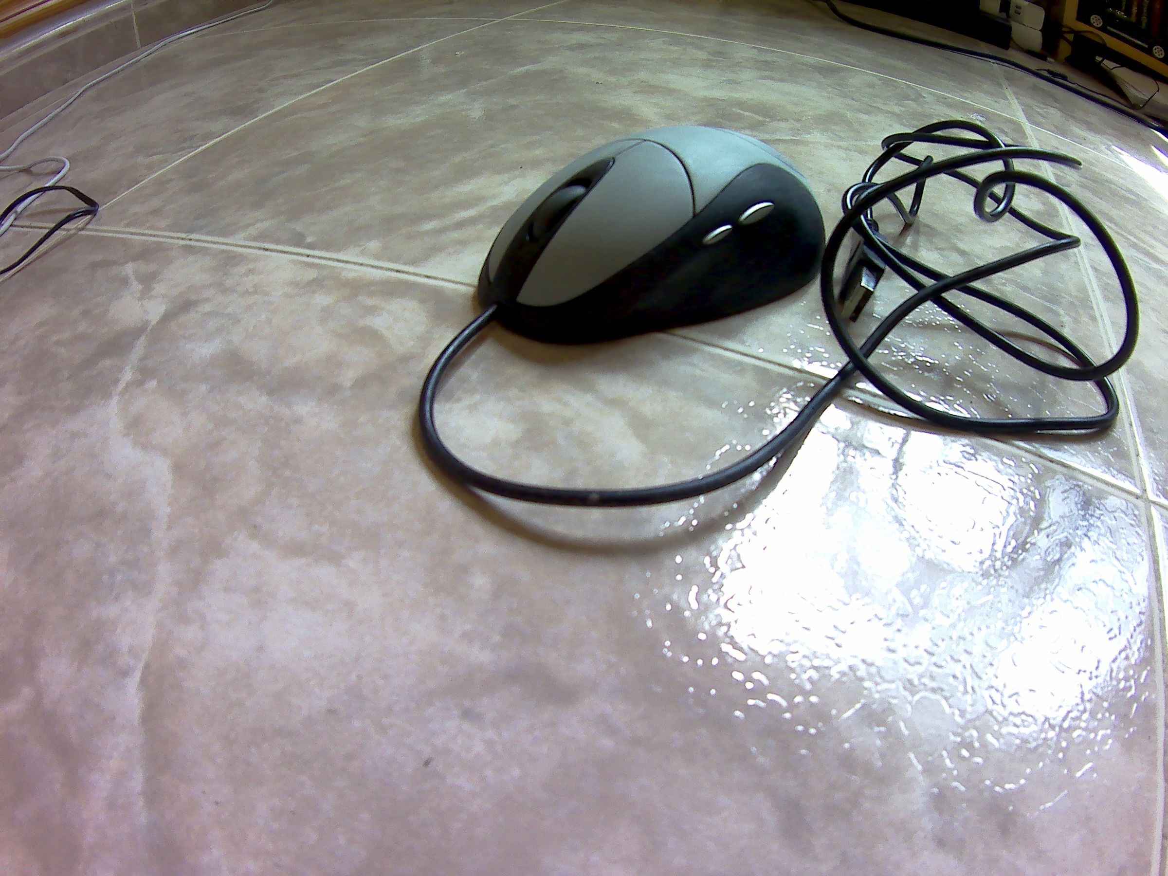 Ultimate GREEN DIY Trackball Mouse From Junk : 10 Steps (with Pictures ...