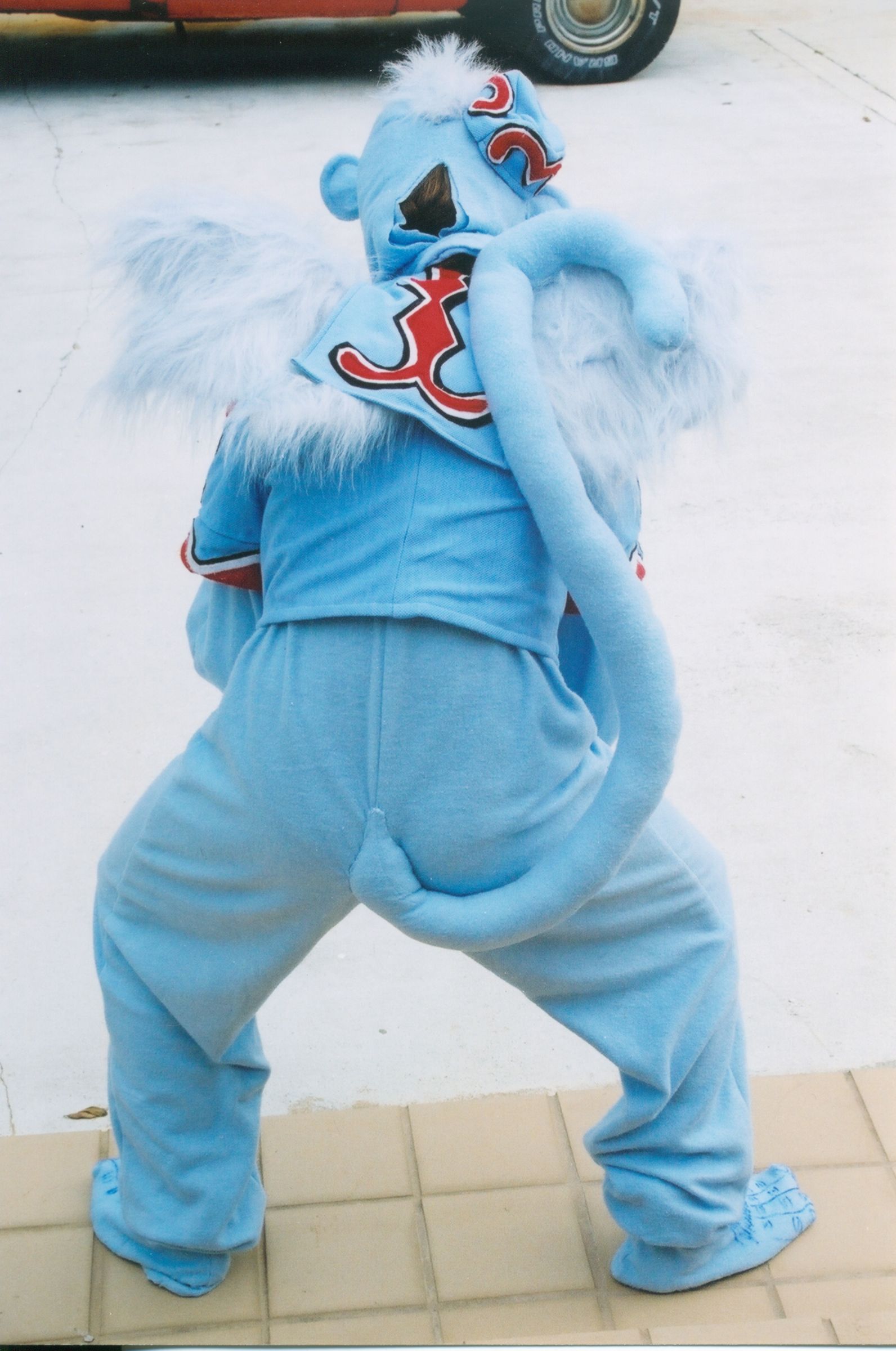 Flying Monkey Makeup