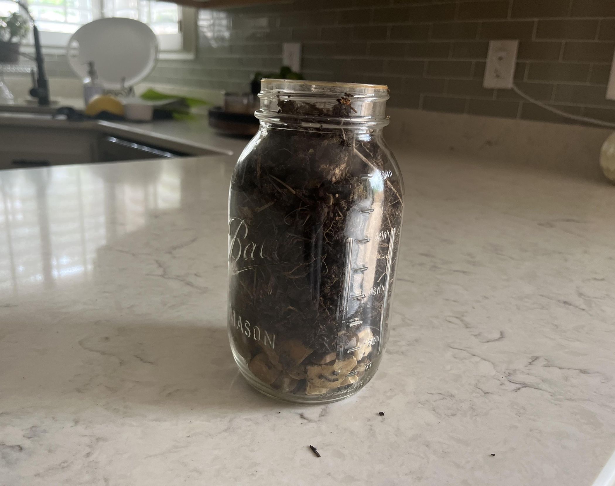 Mason Jar Into a Flower Pot : 7 Steps - Instructables