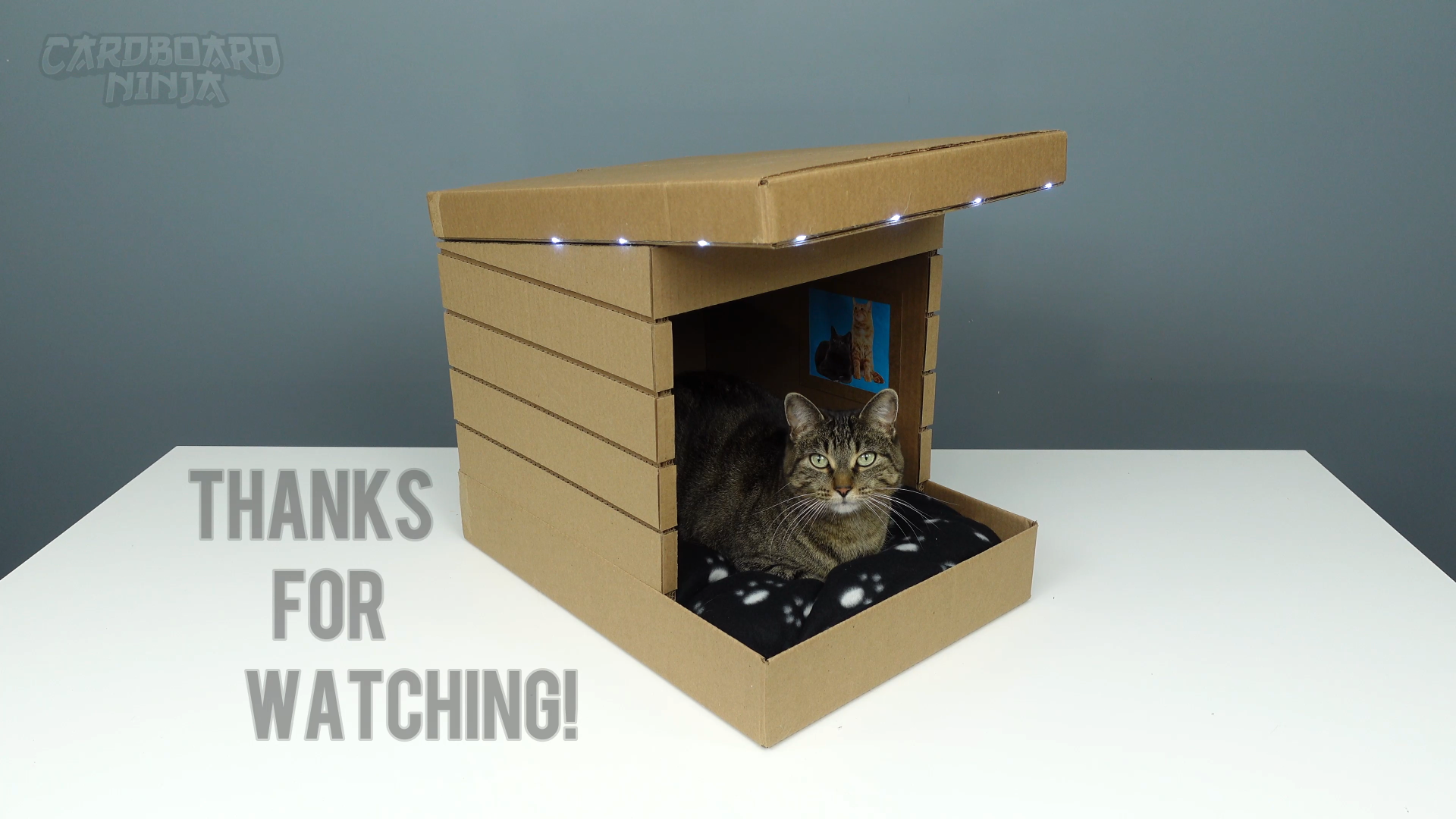 Modern Cardboard Pet House for Cats 🐱 : 11 Steps (with Pictures ...