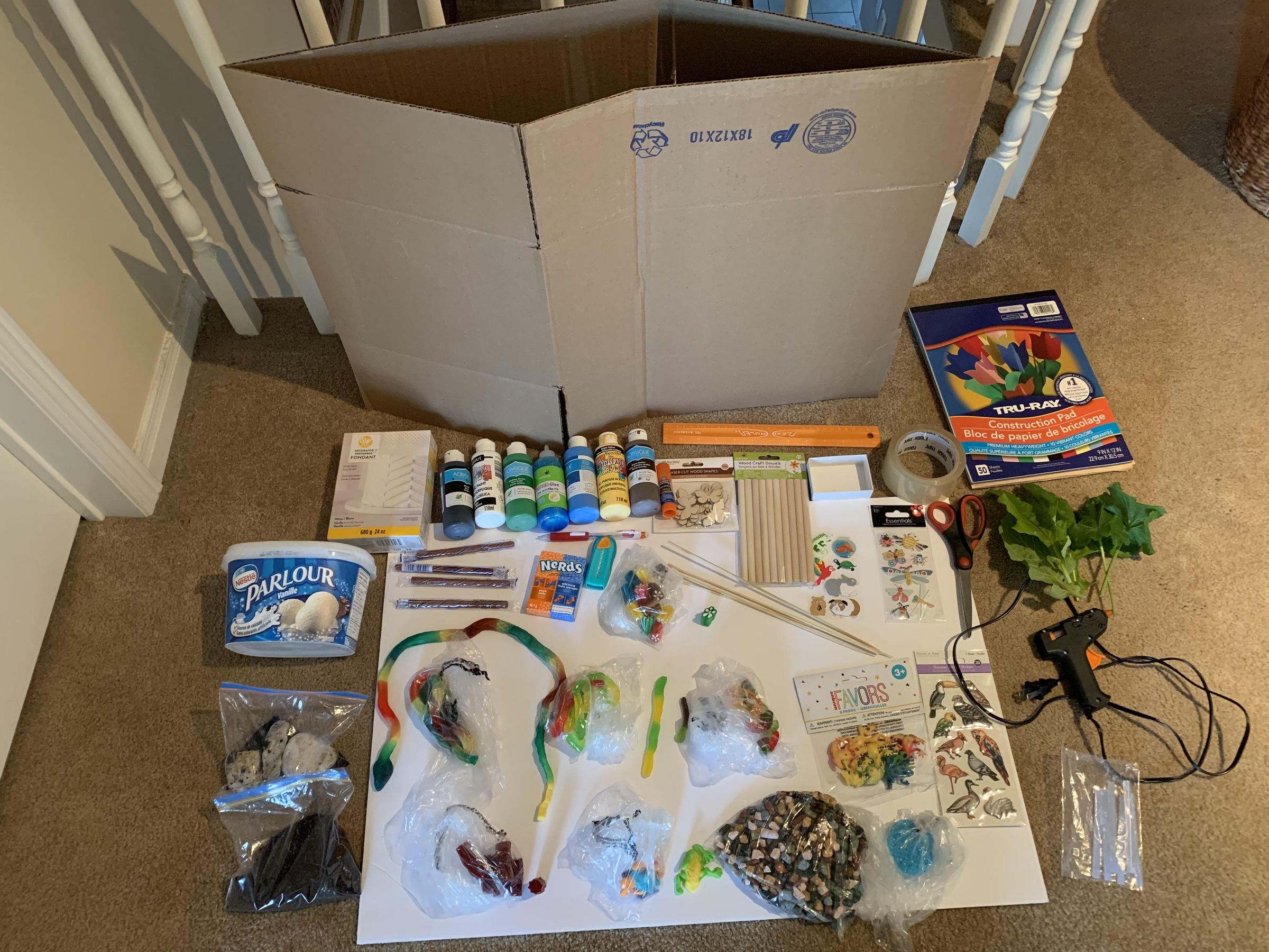 Tropical Rainforest Ecosystem Diorama : 13 Steps (with Pictures ...