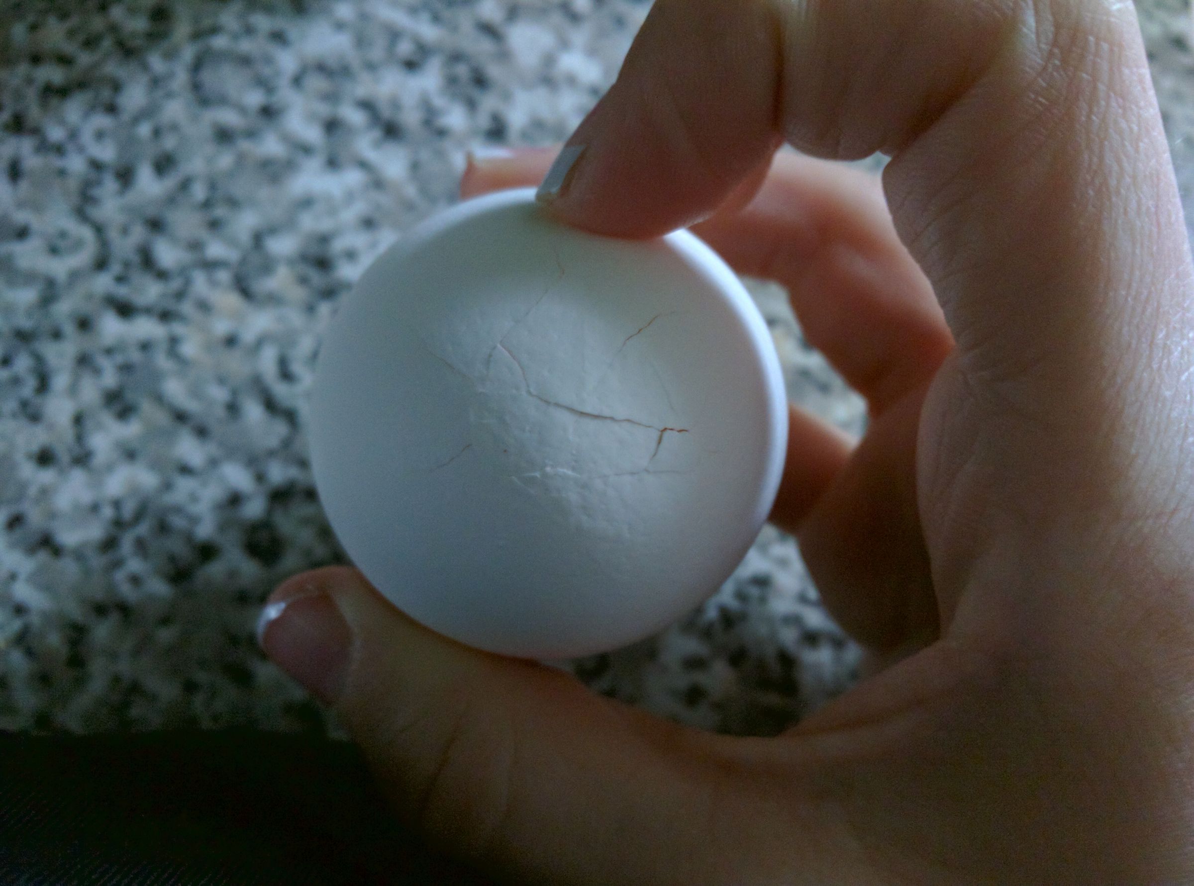 Egg Shell Gardening Pot : 3 Steps (with Pictures) - Instructables