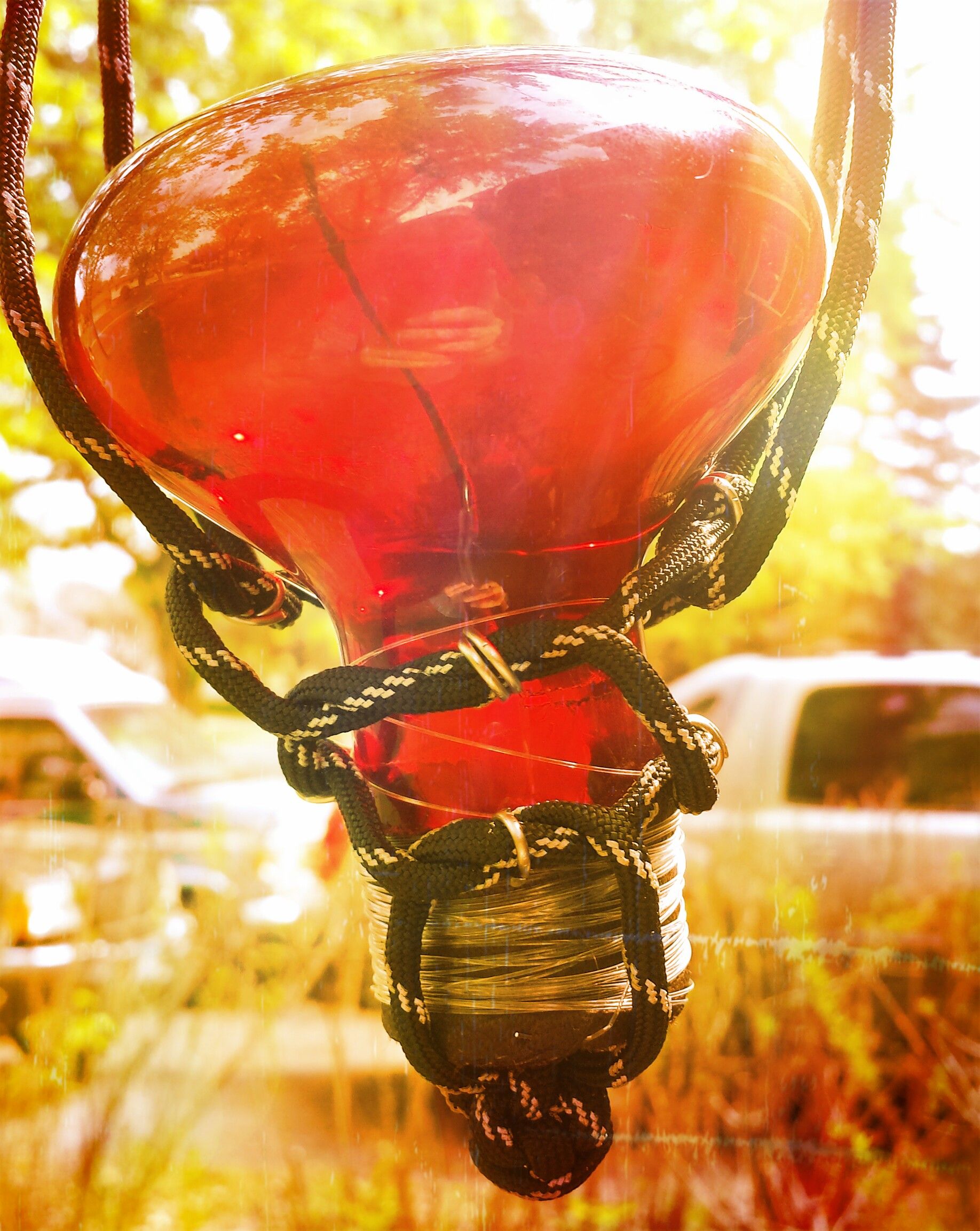 Upcycled Light Bulb Mini Green House : 17 Steps - Instructables