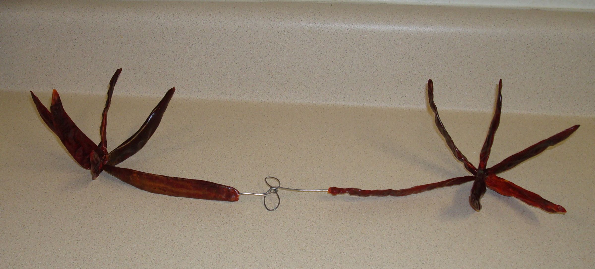 Chili Ristra Monster : 7 Steps - Instructables