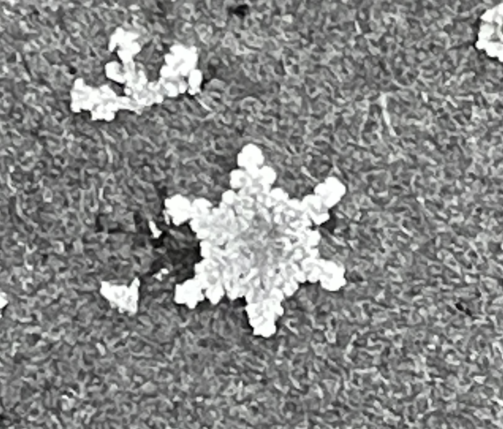 Capture Snowflakes With Photography (with Pictures) - Instructables
