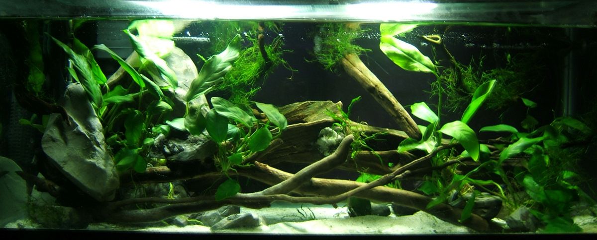 Fish Tank Coffee Table : 6 Steps (with Pictures) - Instructables