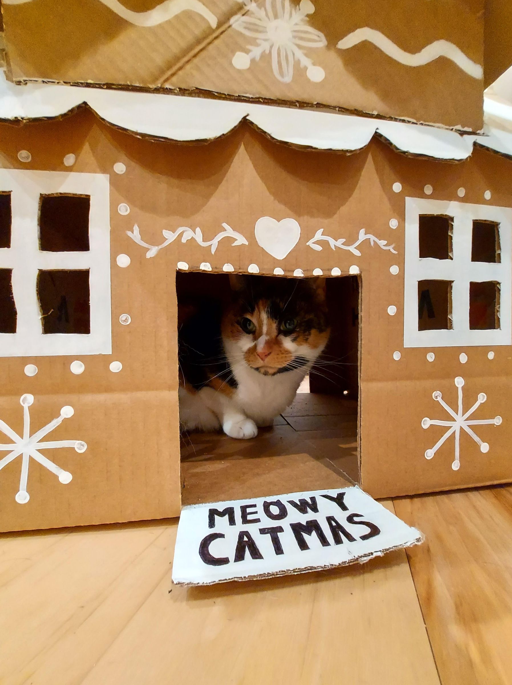 Cardboard Gingerbread Cat House : 12 Steps (with Pictures) - Instructables