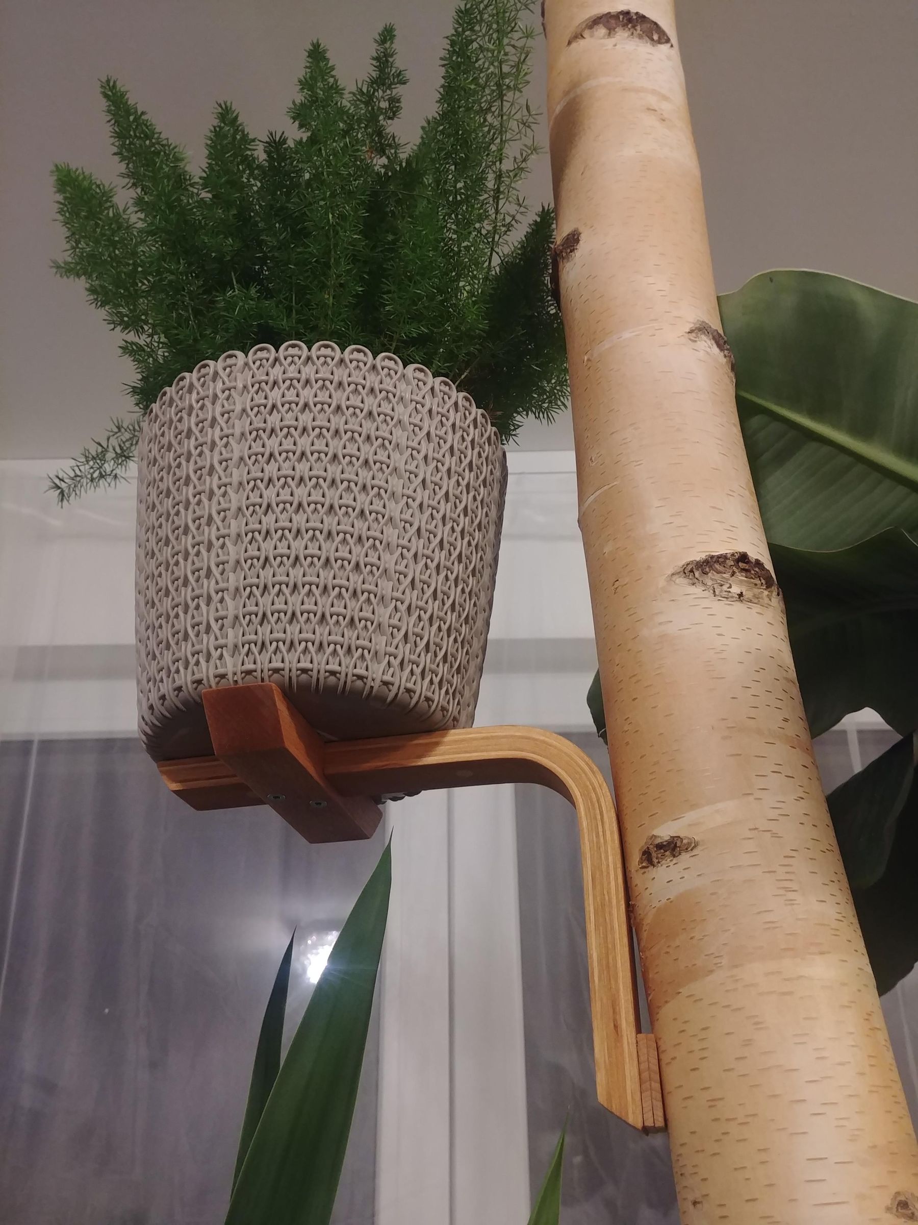 Birch Tree Stand : 4 Steps (with Pictures) - Instructables