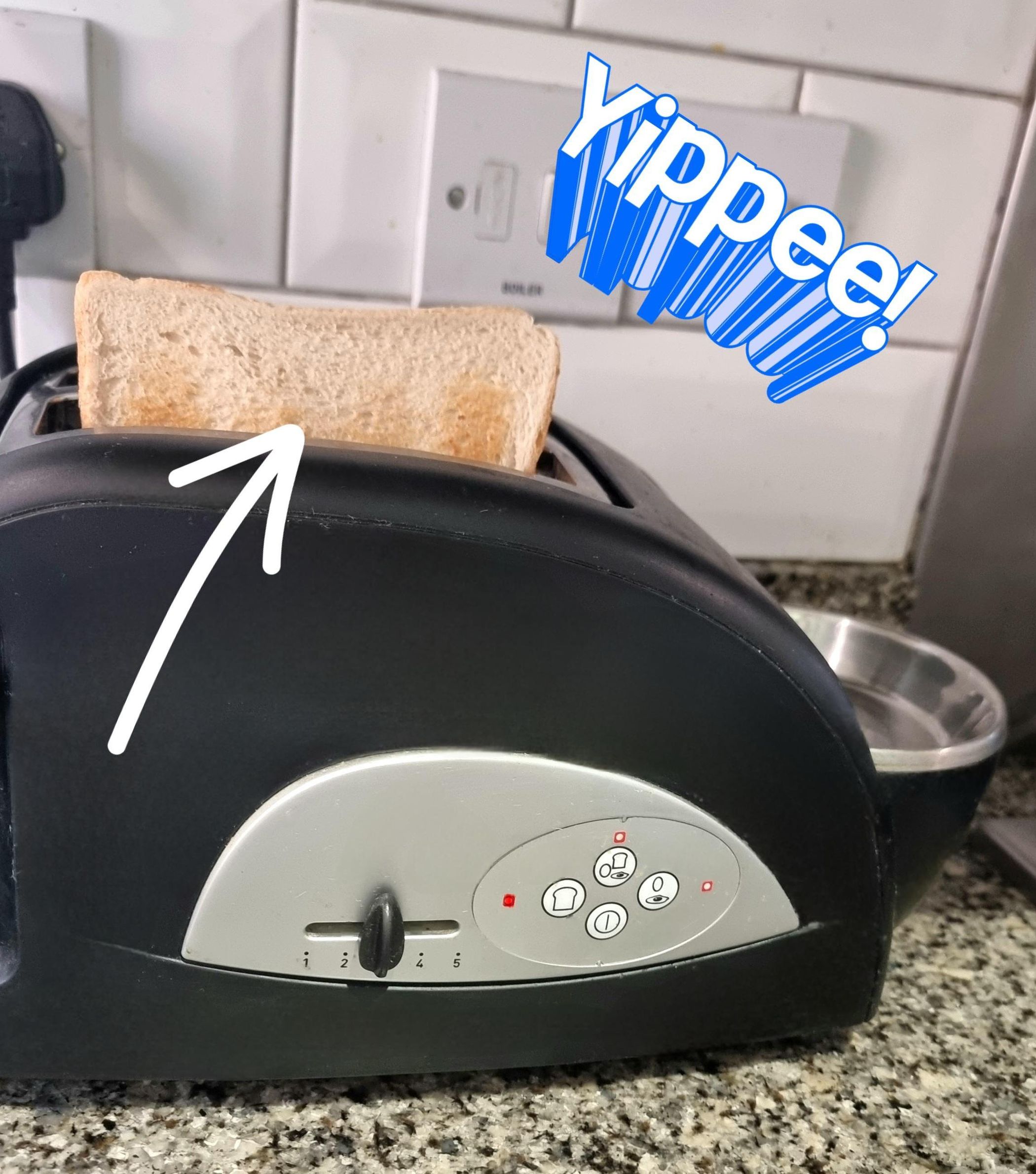 Fix an Old Broken Toaster! : 8 Steps - Instructables