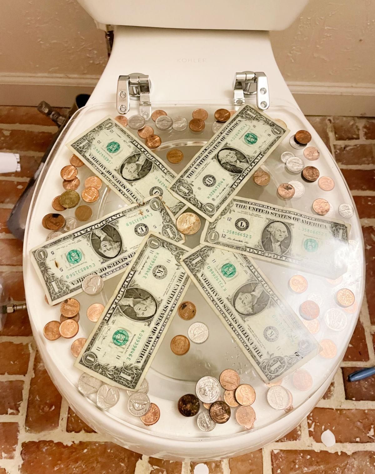 Money Toilet Seat Money Toilet Paper GeekAlerts