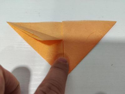 Origami Koi Fish : 22 Steps - Instructables