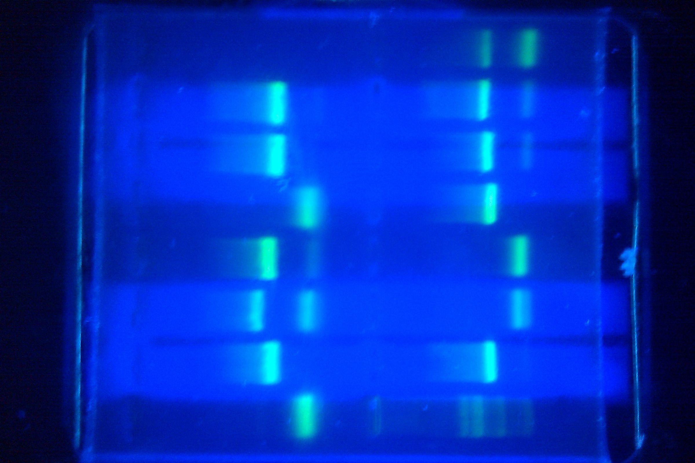 Make STEM Fun With UV LEDs : 24 Steps - Instructables