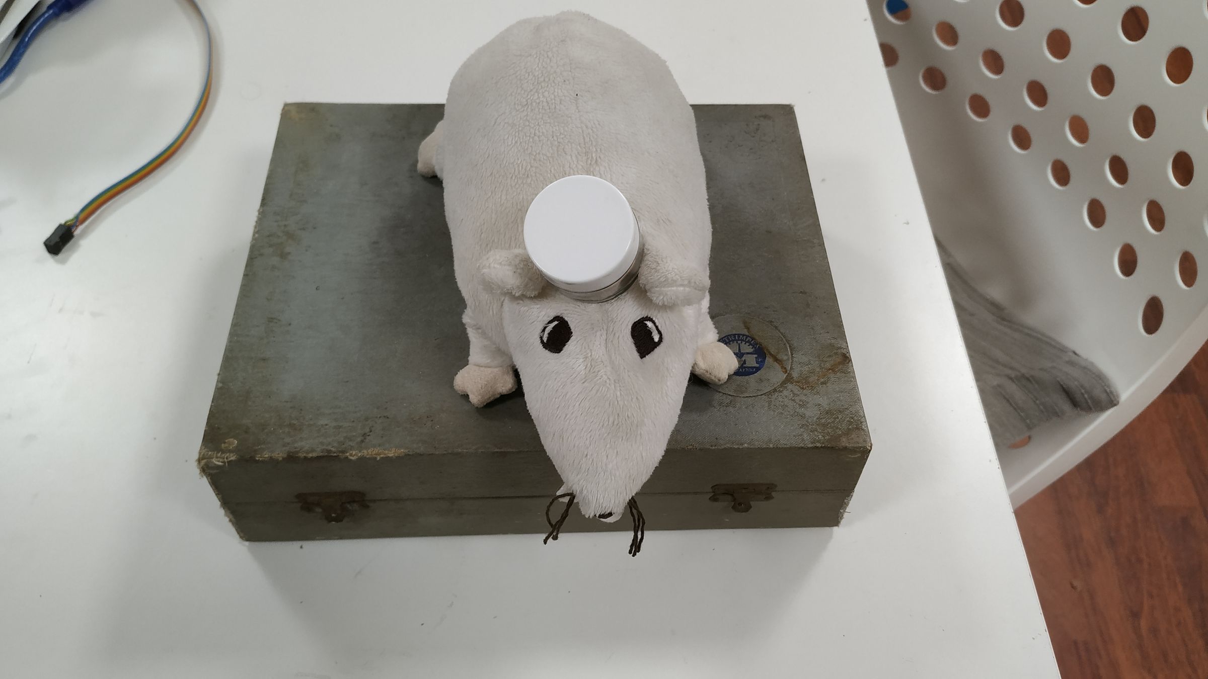 Interactive Candy Guard Rat : 7 Steps (with Pictures) - Instructables