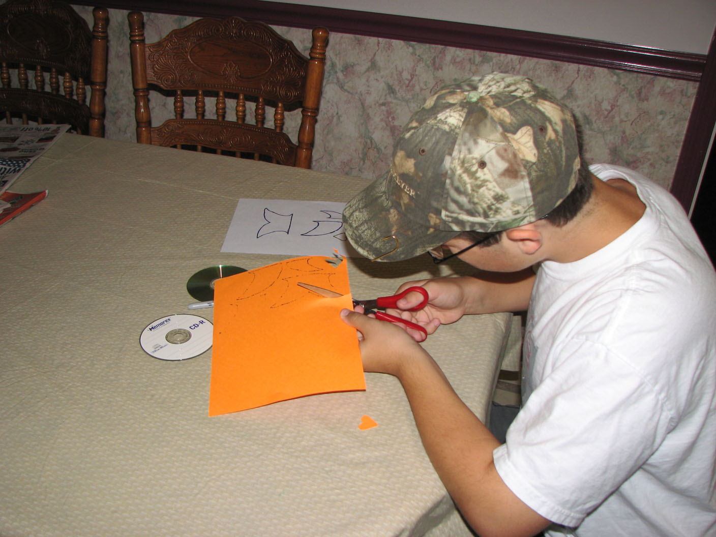 CD ROM Fish Craft : 8 Steps (with Pictures) - Instructables