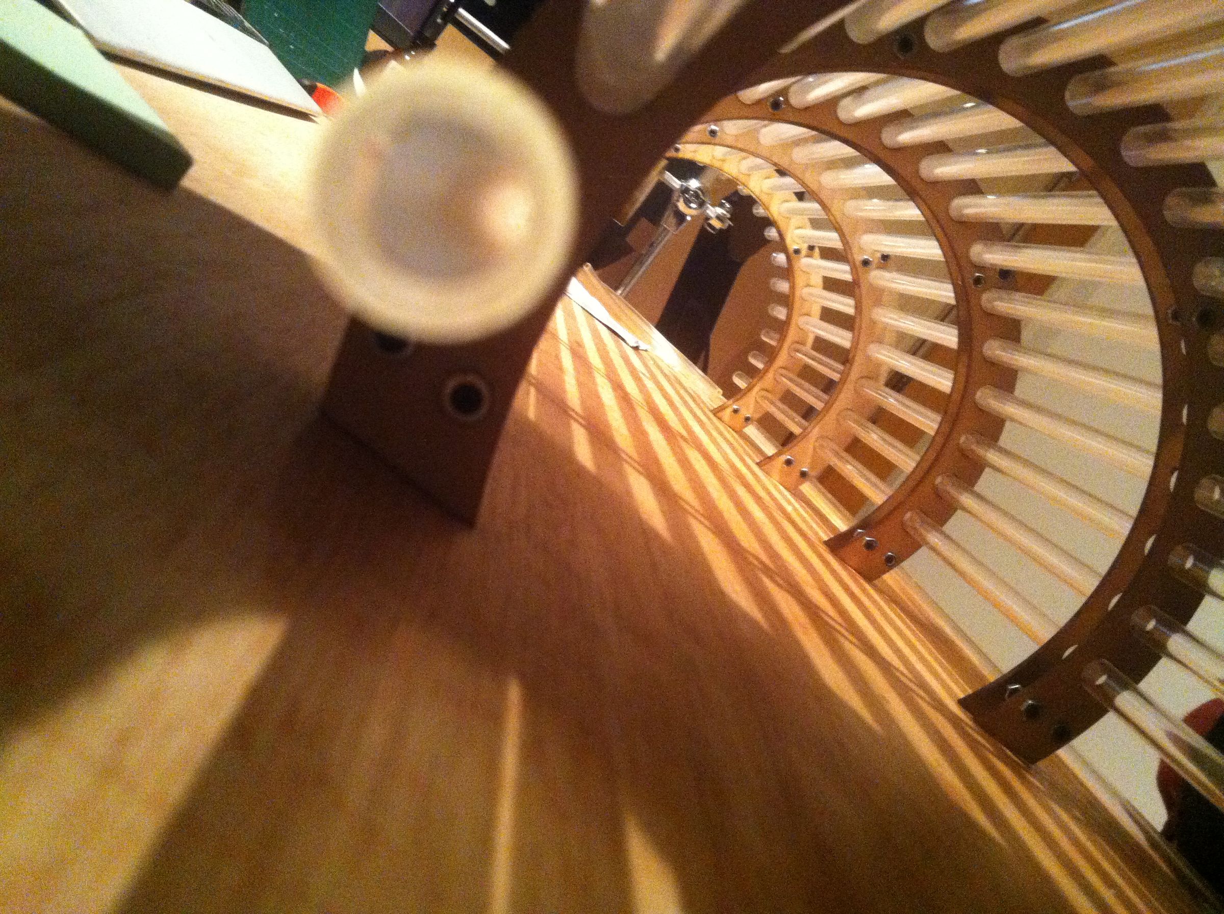 The Algae Experiment: How to Build Your Own Algae Photo-bioreactor ...